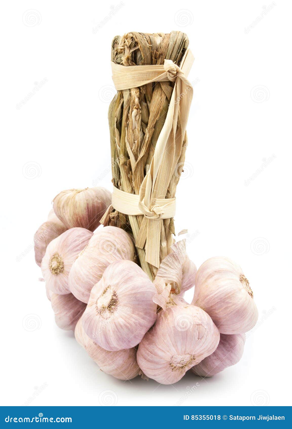 Bunch of garlic isolated stock photo. Image of group - 85355018