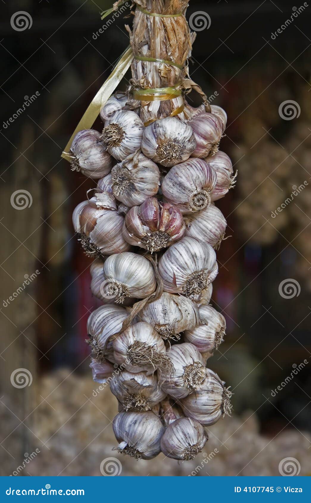 Bunch of Garlic in an Open Market Stock Image - Image of dieting ...