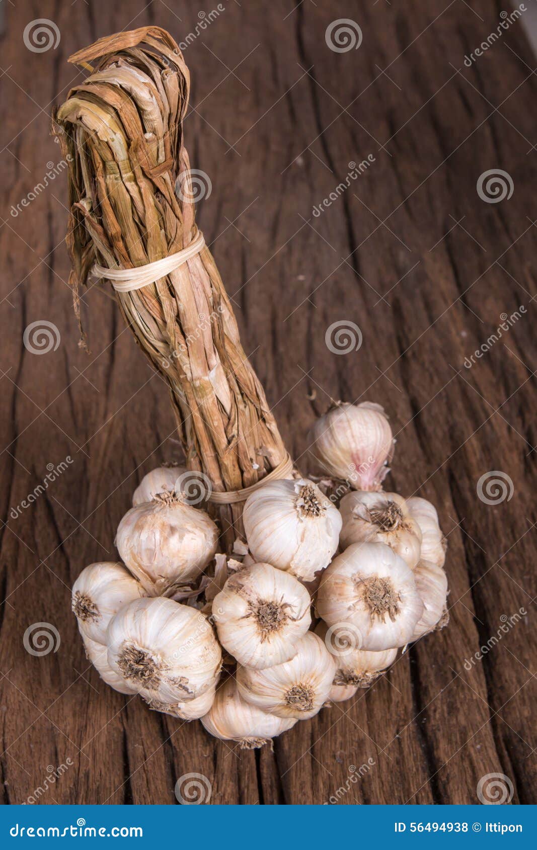 Bunch of garlic stock photo. Image of kitchen, spice - 56494938
