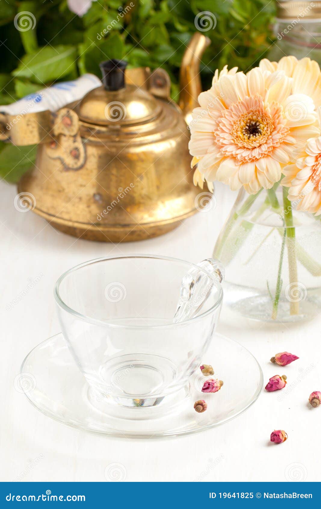Bunch of Gerbera Flower with Empty Glass Cup Stock Image - Image of ...