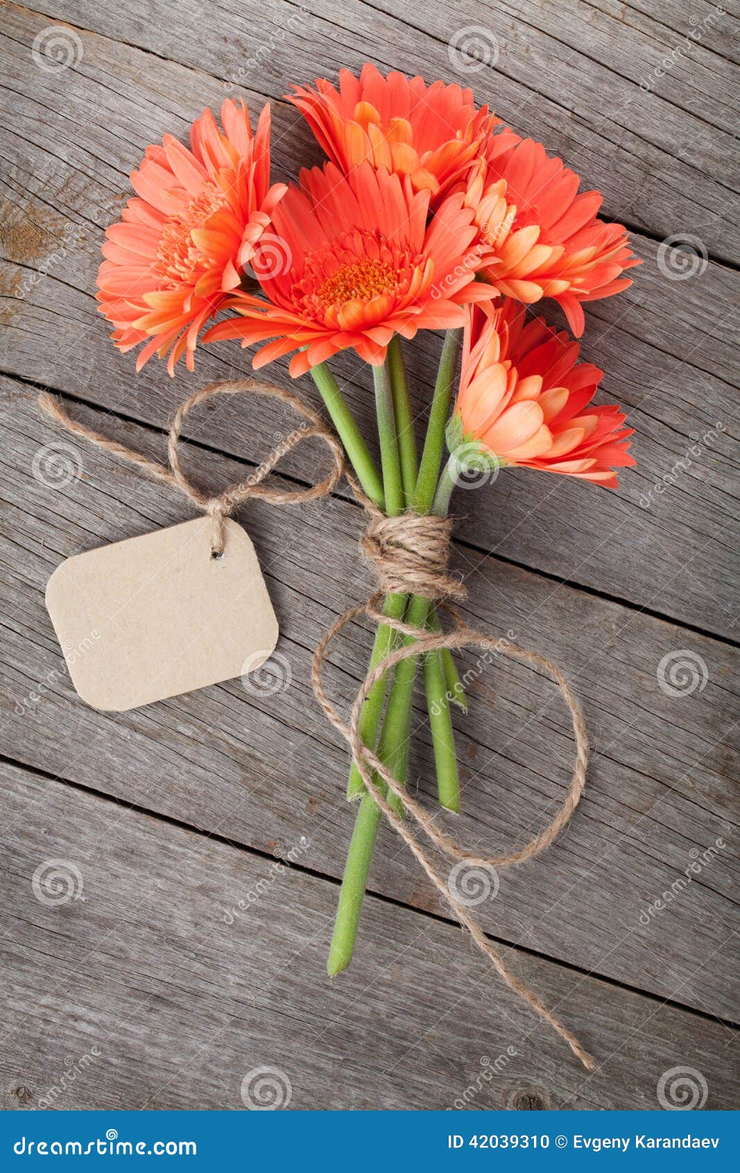 Bunch of Gerbera Flowers with Tag Stock Photo - Image of daisies ...