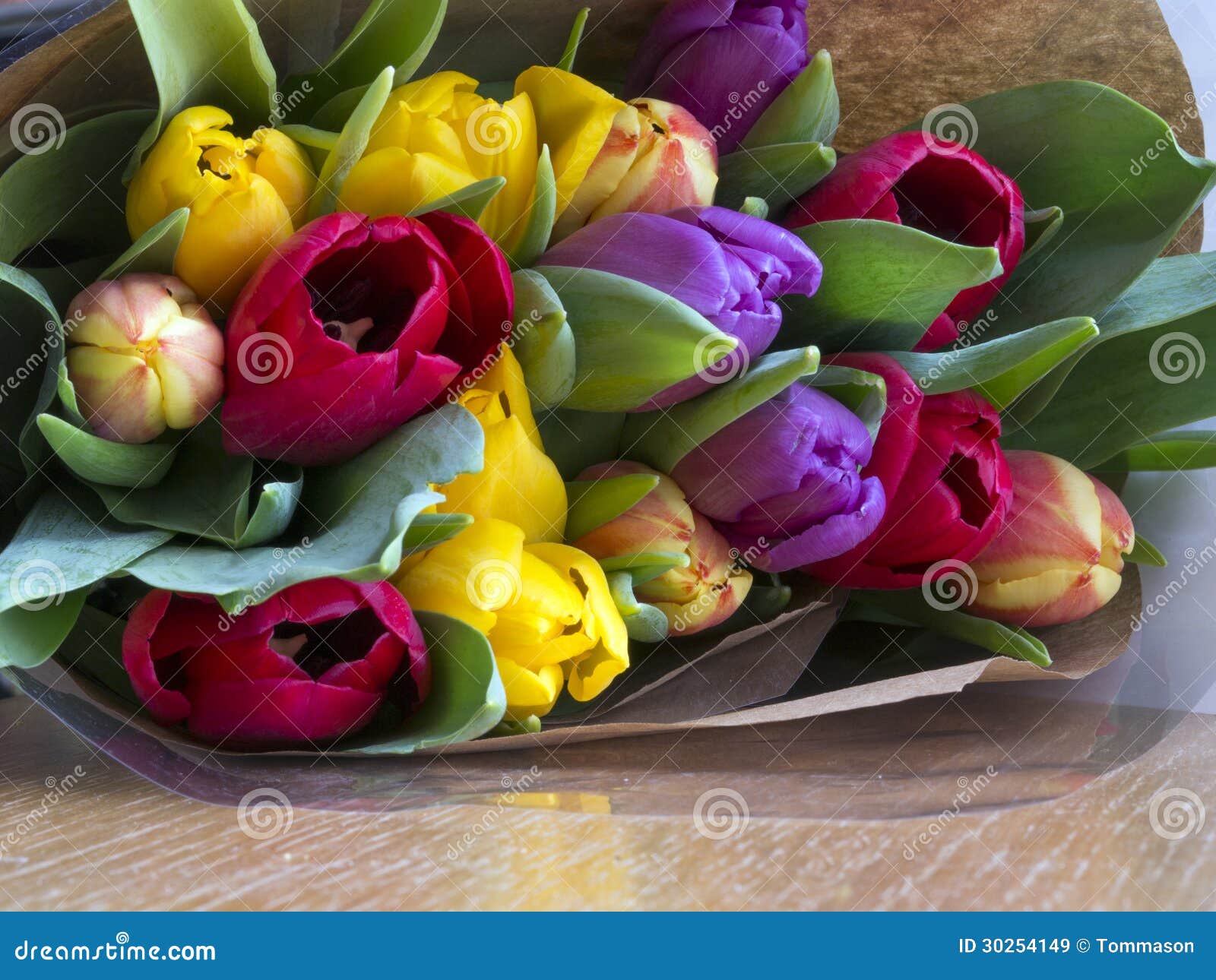 Tulips stock image. Image of flowers, royalty, leaves - 30254149