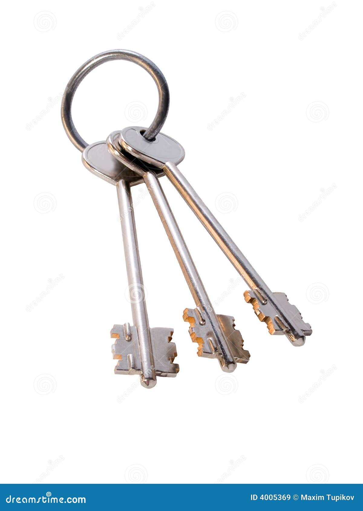 Bunch Of Golden Keys On The Ring Picture. Image: 4005369
