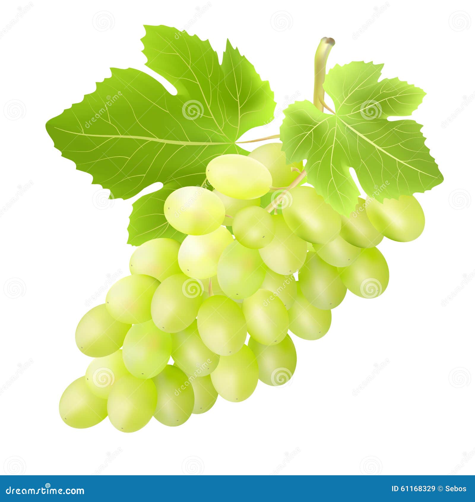 Bunch Of Grape. Created With Gradient Meshes. Cartoon Vector ...