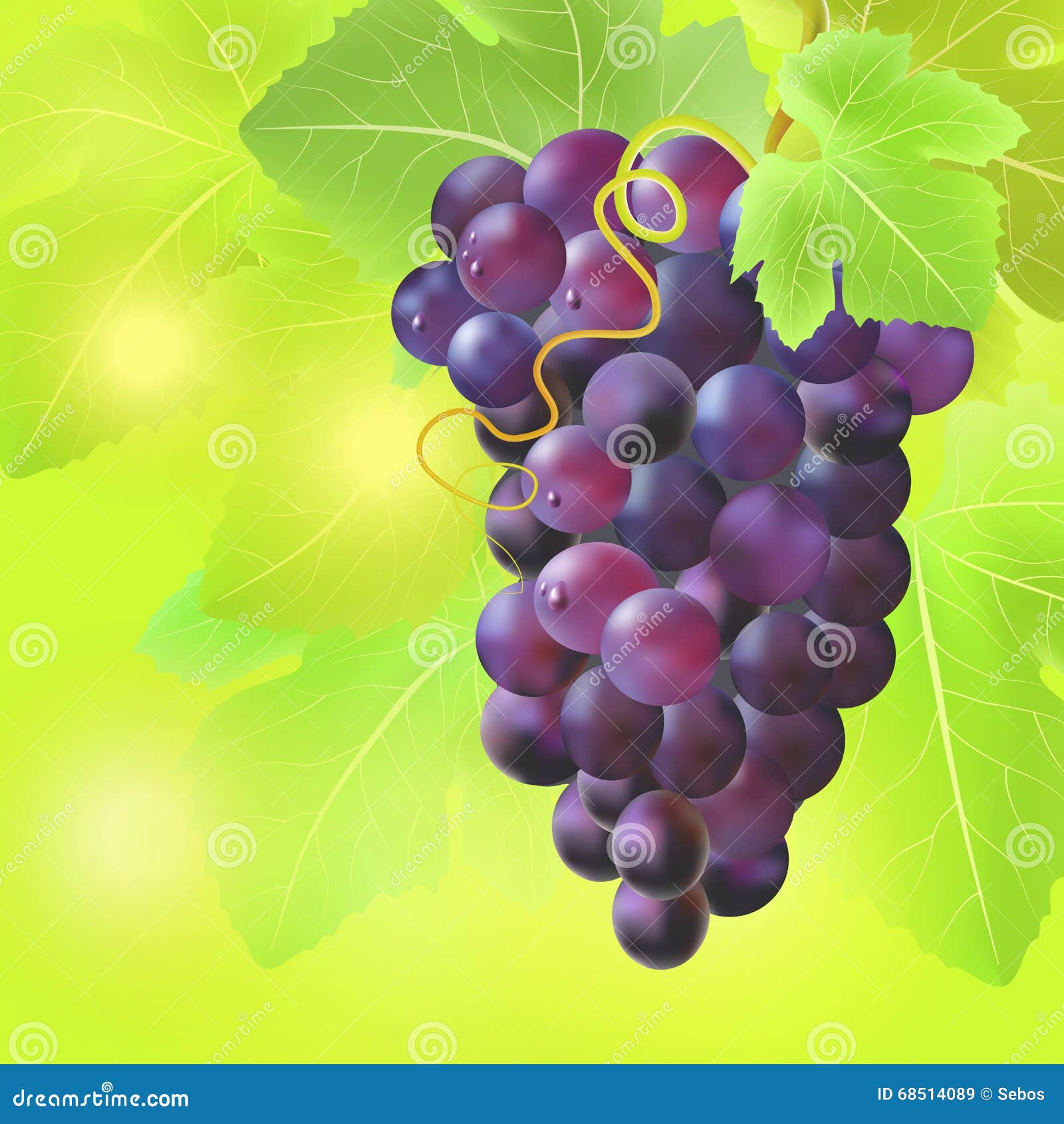 Bunch of Grape on Summer Blur Background. Created with Gradient Meshes ...