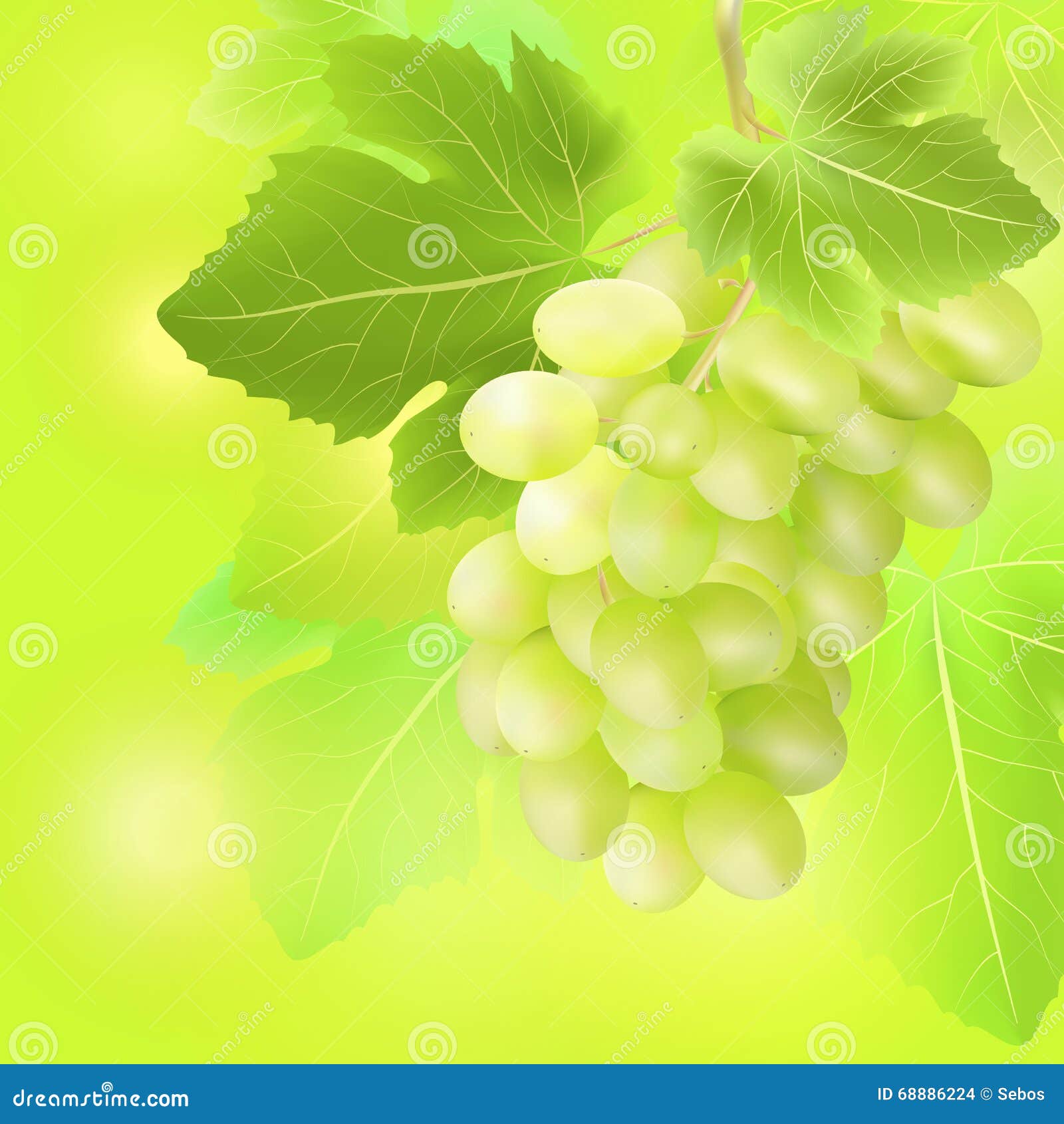 Bunch of Grape on Summer Blur Background. Created with Gradient Meshes ...