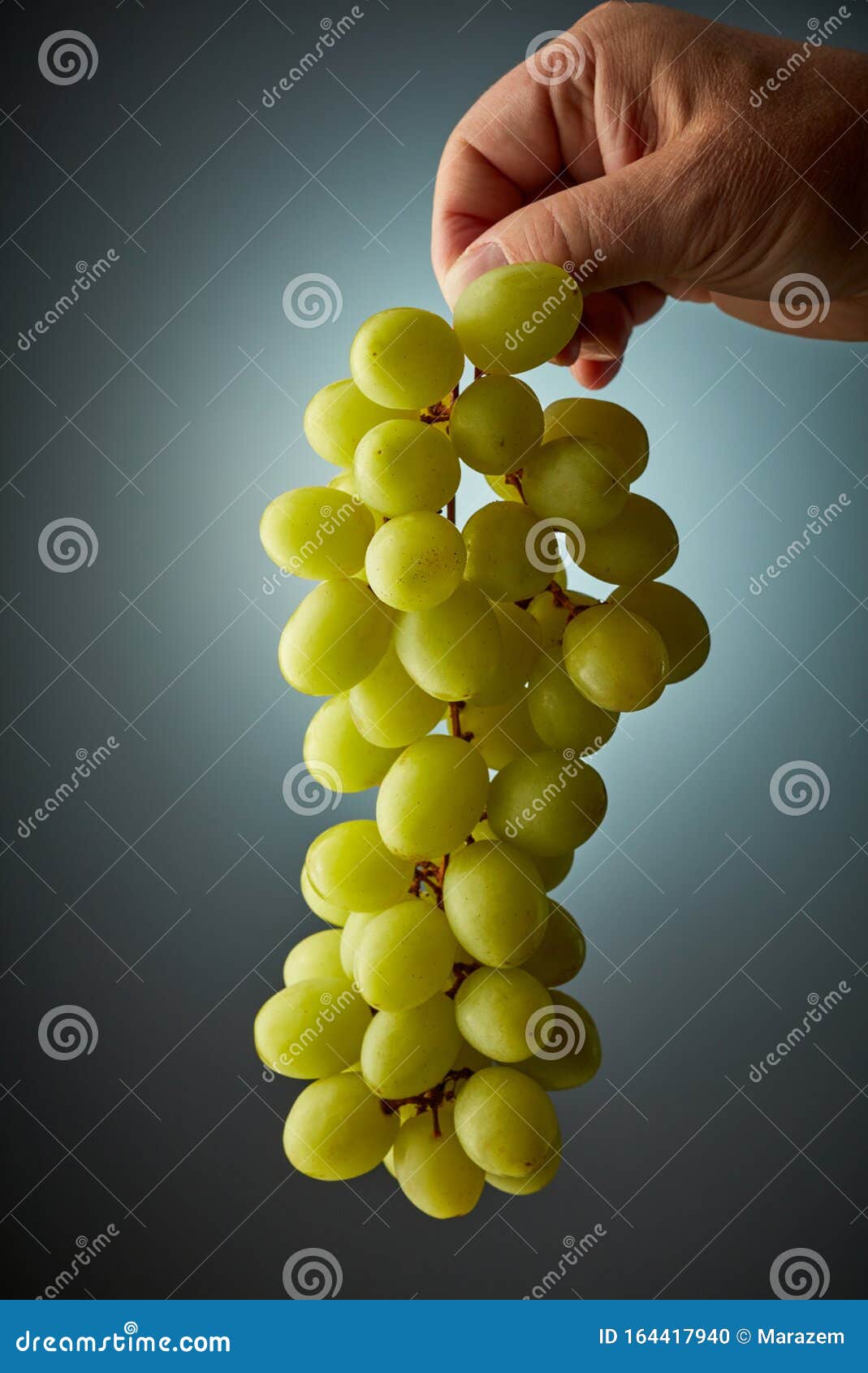 Bunch of grapes stock photo. Image of background, farmer - 164417940