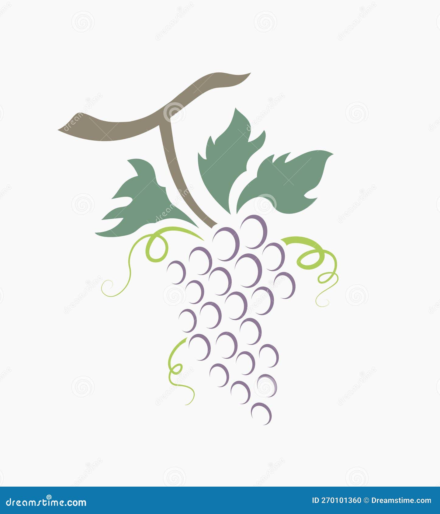 Bunch grapes illustration stock vector. Illustration of bunch - 270101360