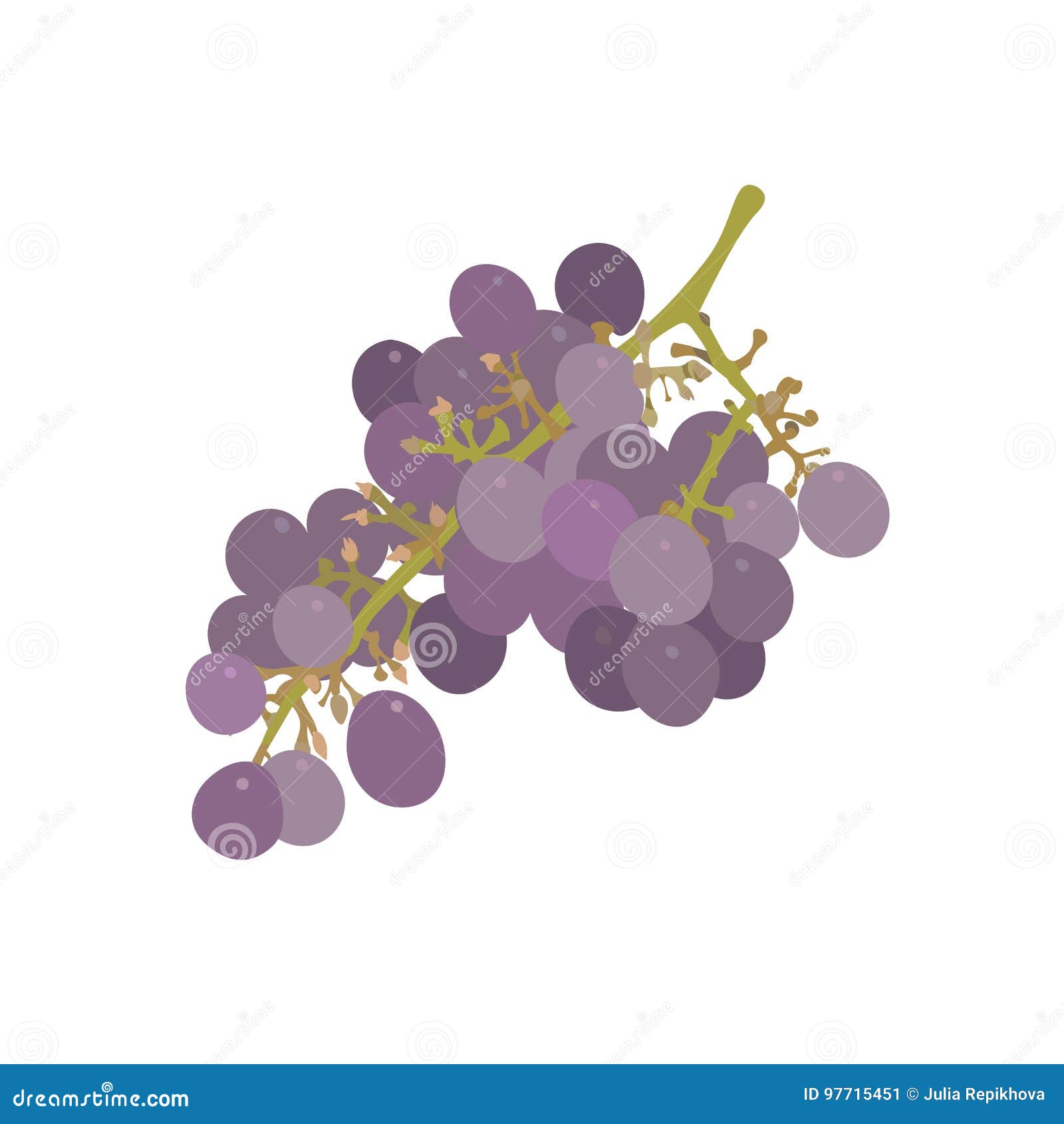 A Bunch of Grapes Isolated Vector Illustration Stock Vector ...