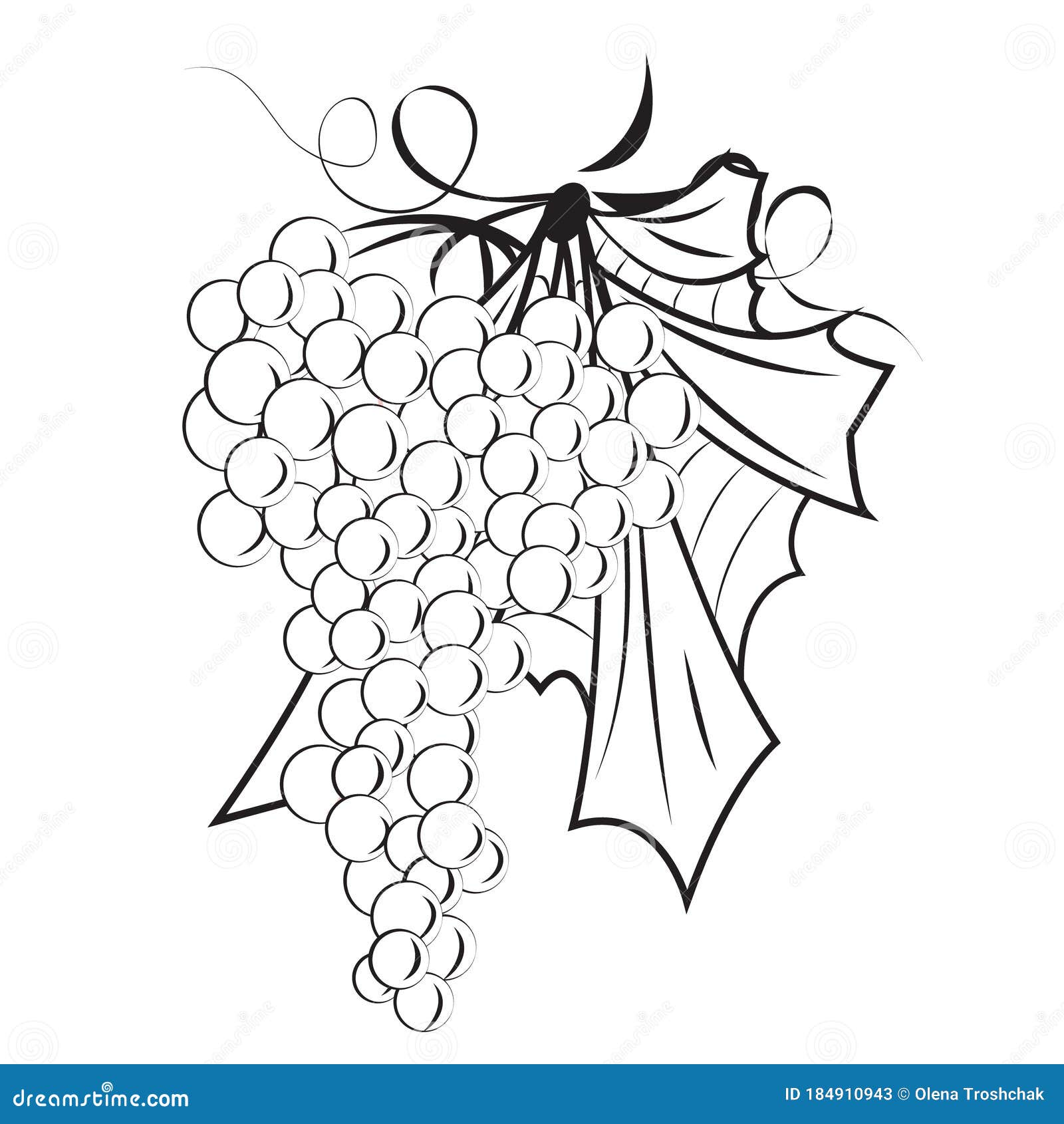 A Bunch of grapes outline stock vector. Illustration of decorative ...