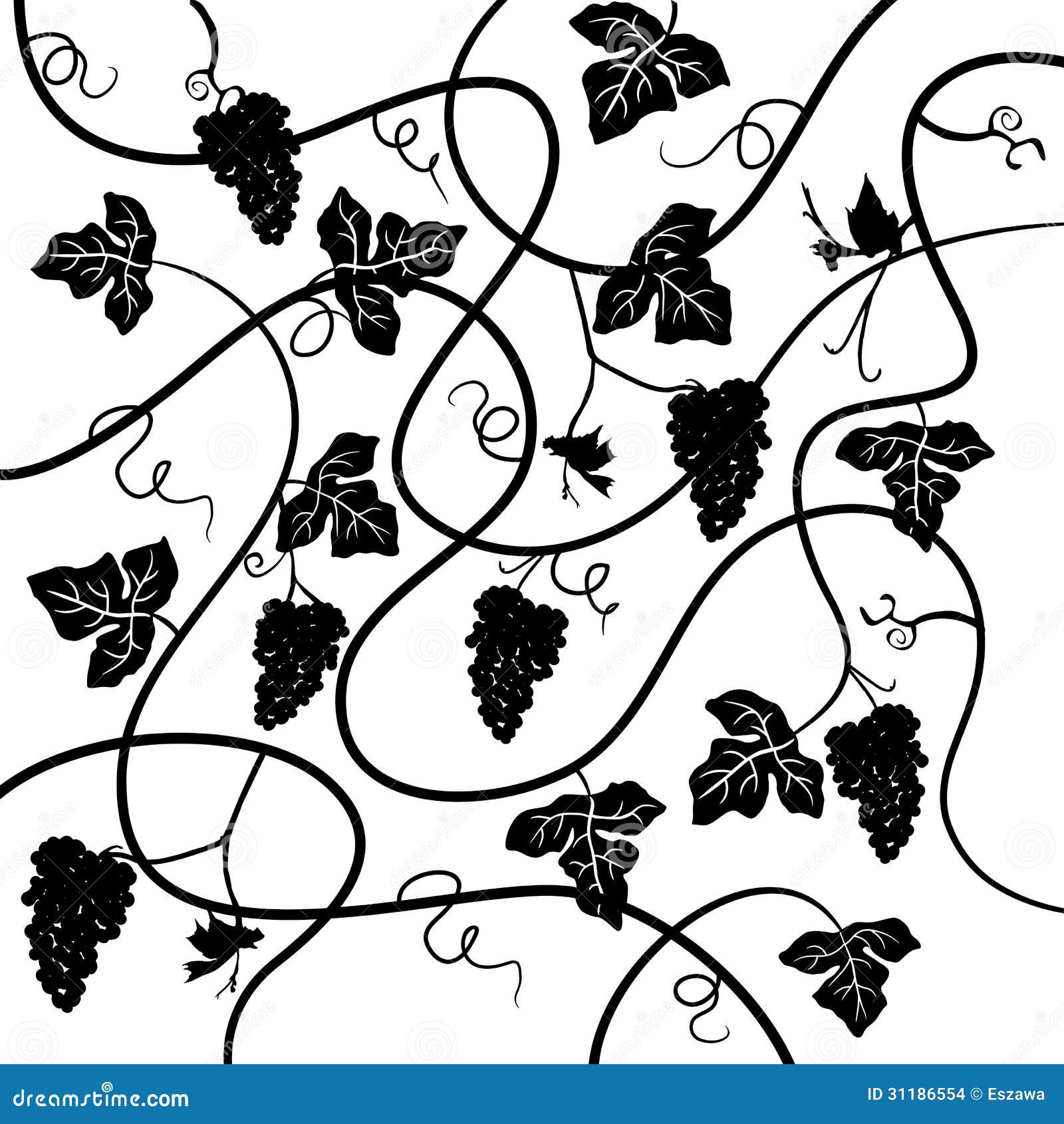 Grapes Plant With Ripe Berries, Green Leaves And Roots. Deciduous Woody ...