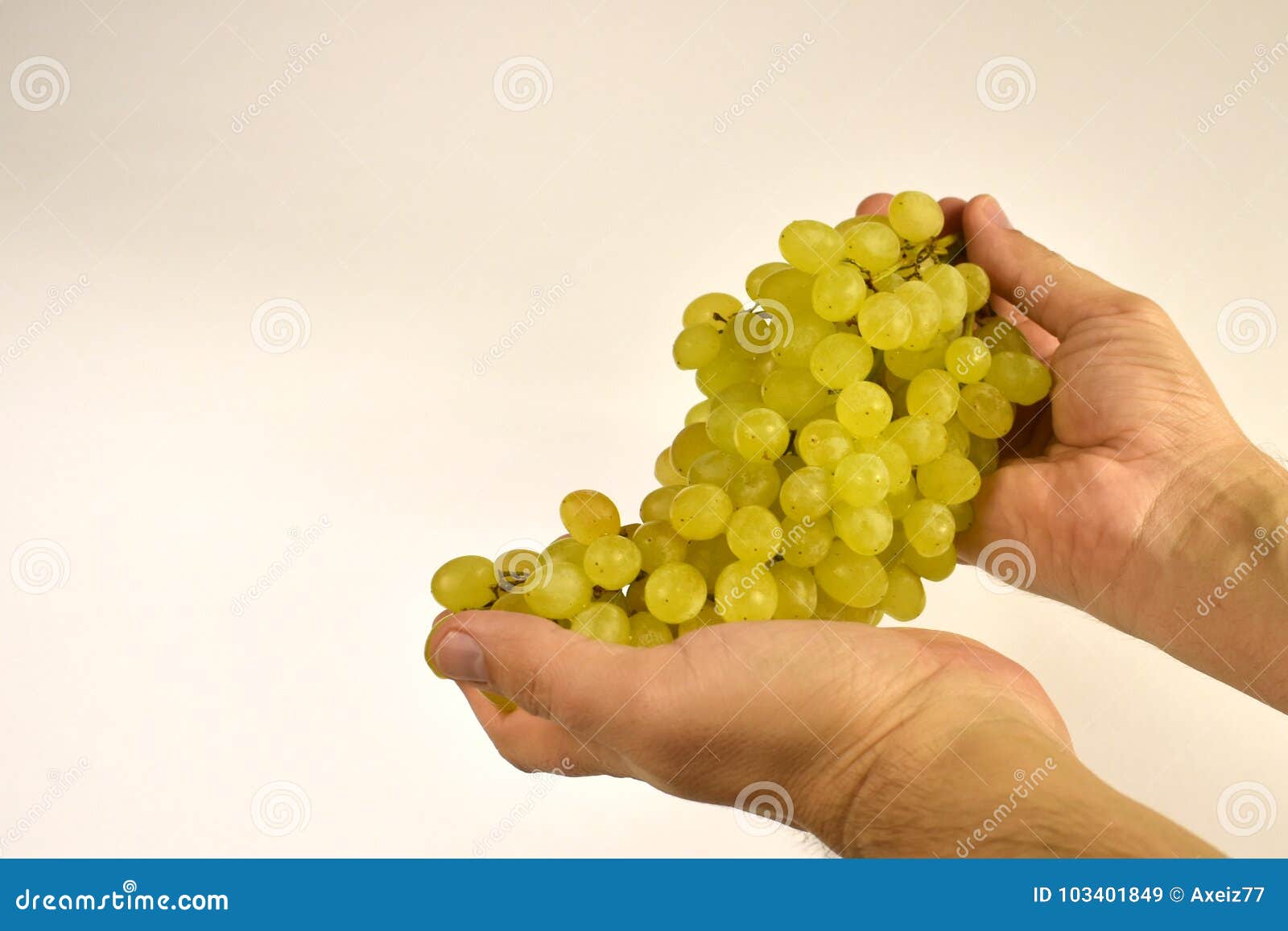 A Bunch of Grapes in Their Hands Stock Image - Image of grape, fingers ...