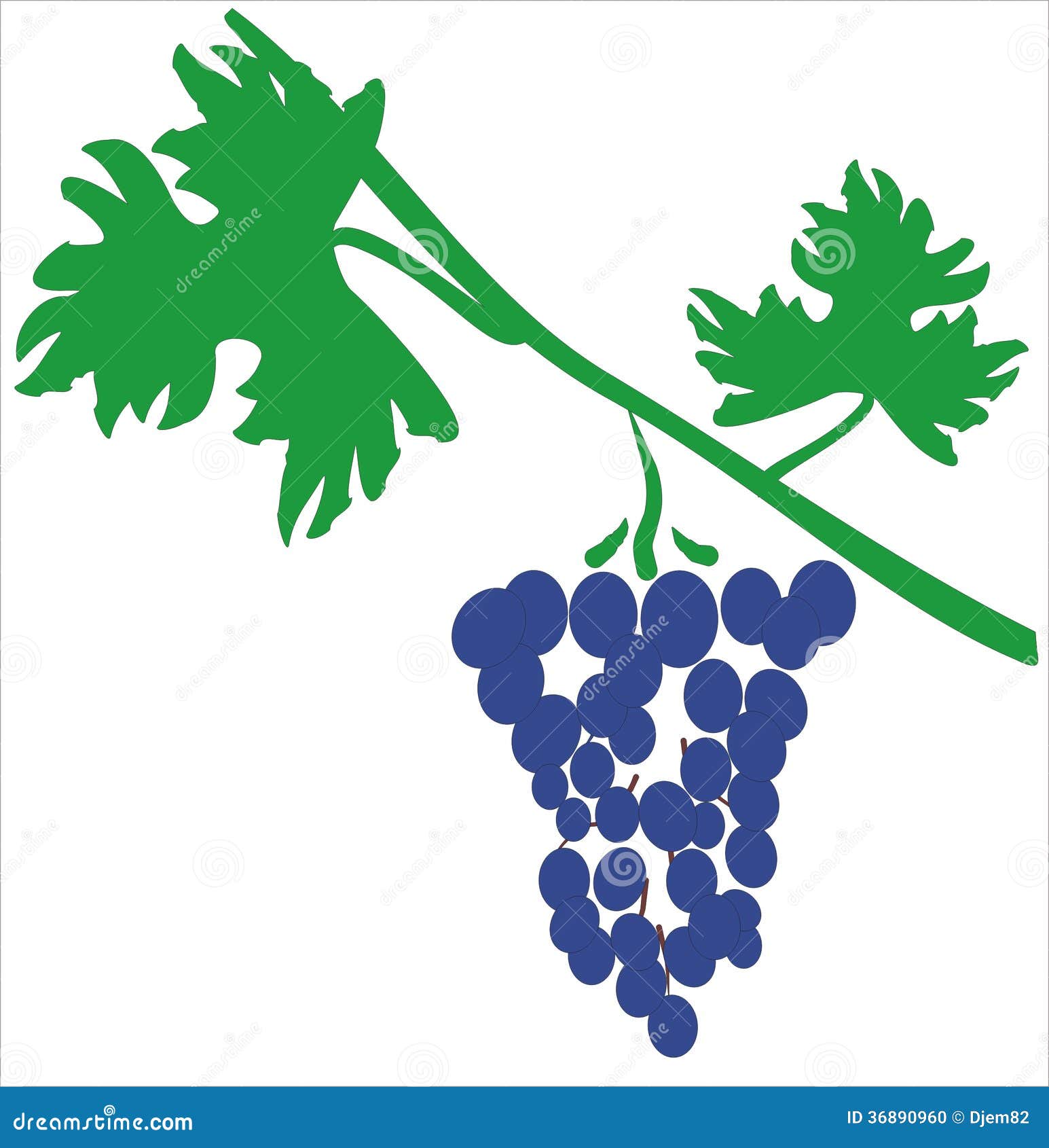 Bunch of Grapes. Vector Illustration. Stock Illustration - Illustration ...