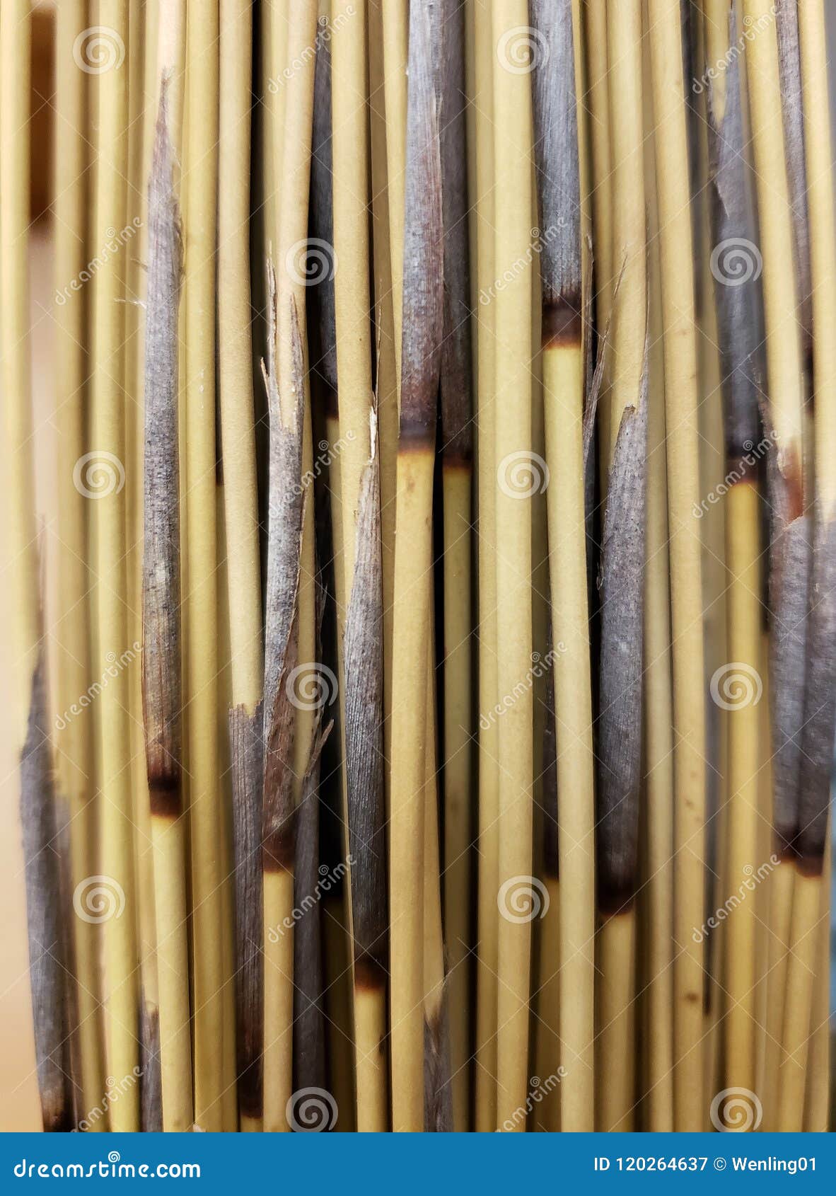 Dried Grass Stems Textures And Background Stock Image - Image of stem ...