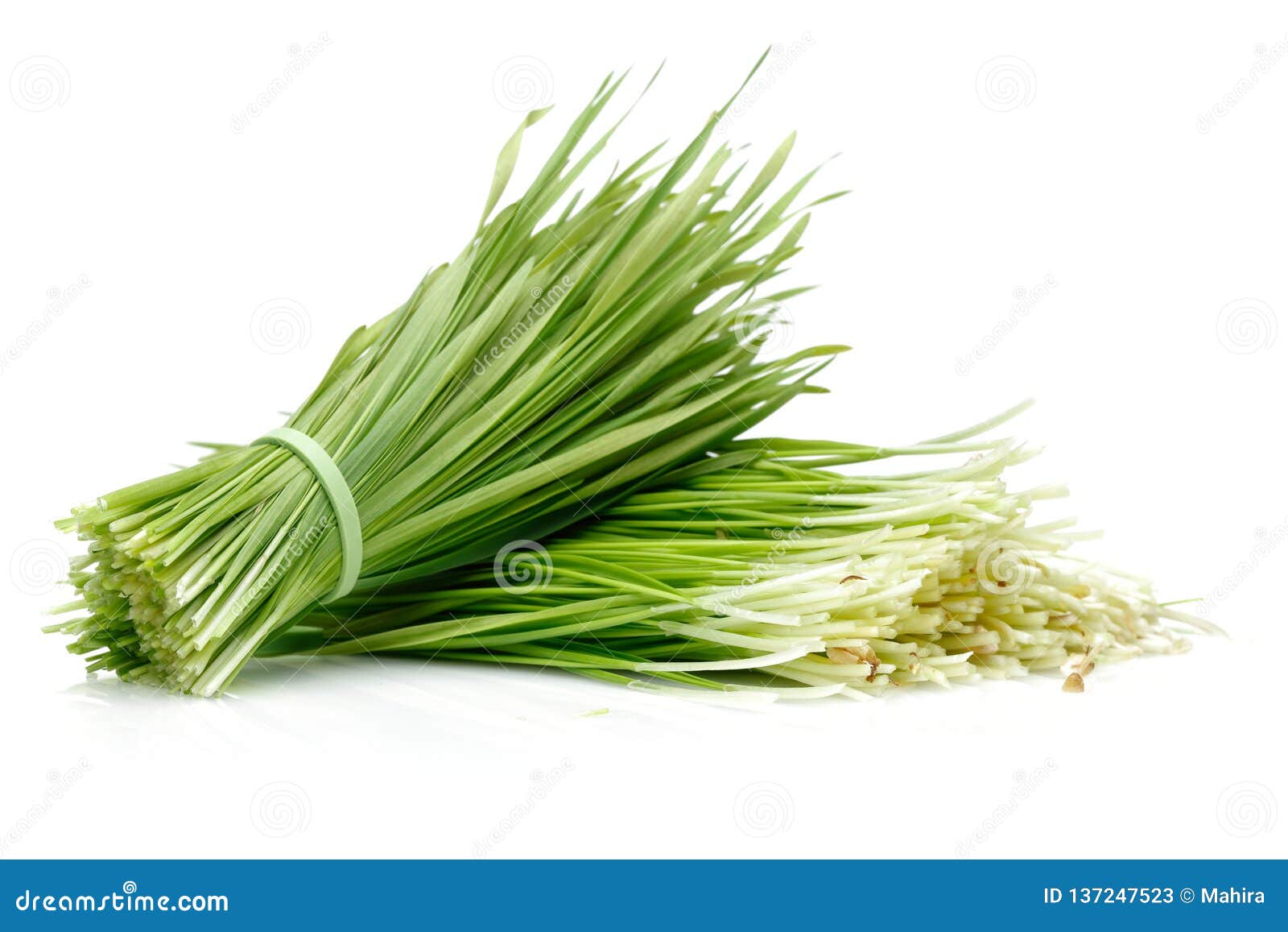 A Bunch of Grass on White Background Stock Image - Image of growth ...