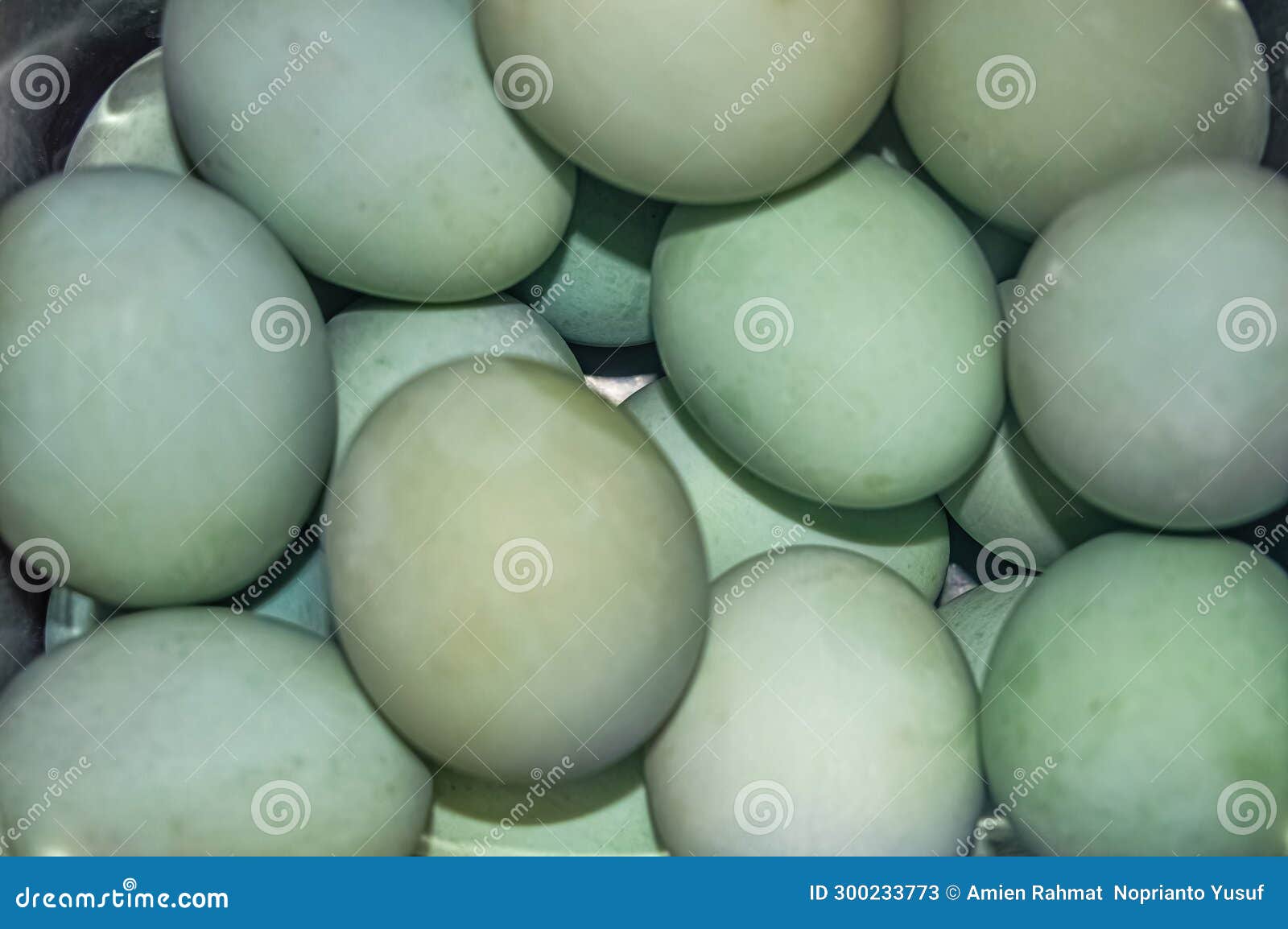 A bunch of green duck eggs stock image. Image of basket - 300233773