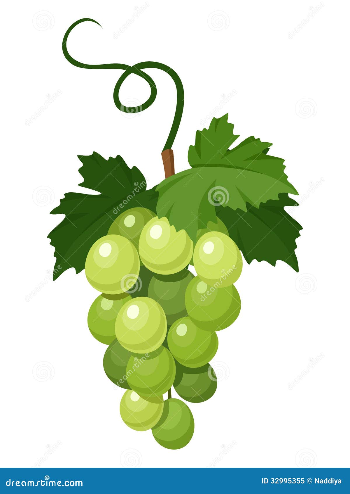 Green Grapes. Cartoon Isolated Icon On White Background. Hand Drawn ...