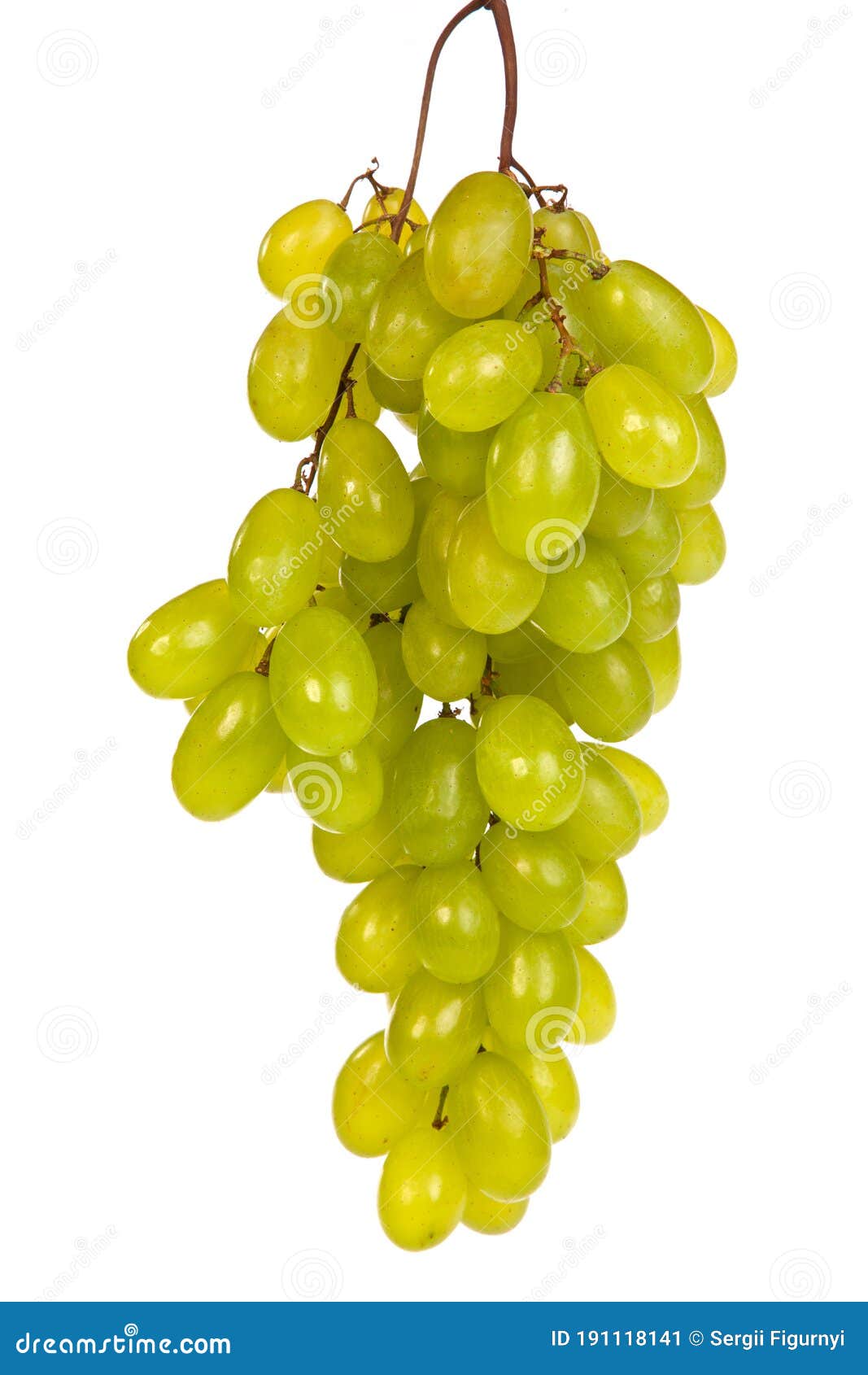 Bunch of Green Grapes Laying Isolated Stock Image - Image of gourmet ...
