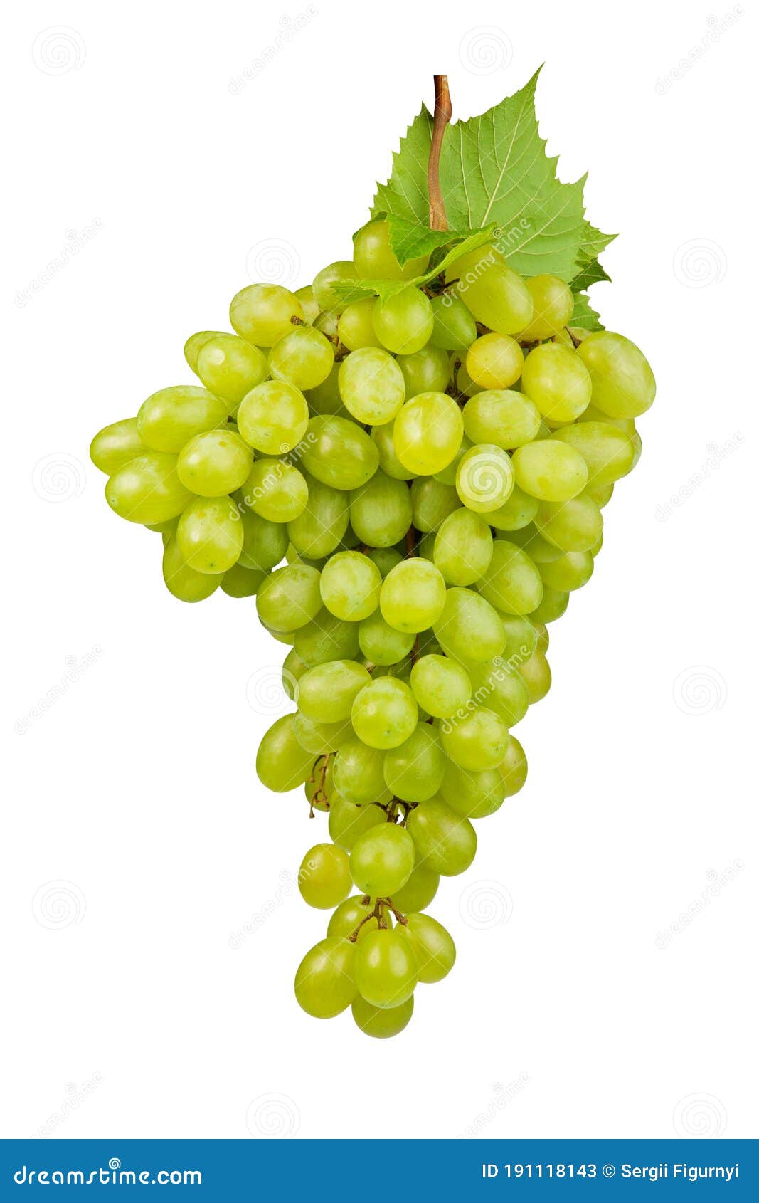 Bunch of Green Grapes Laying Isolated Stock Image - Image of freshness ...