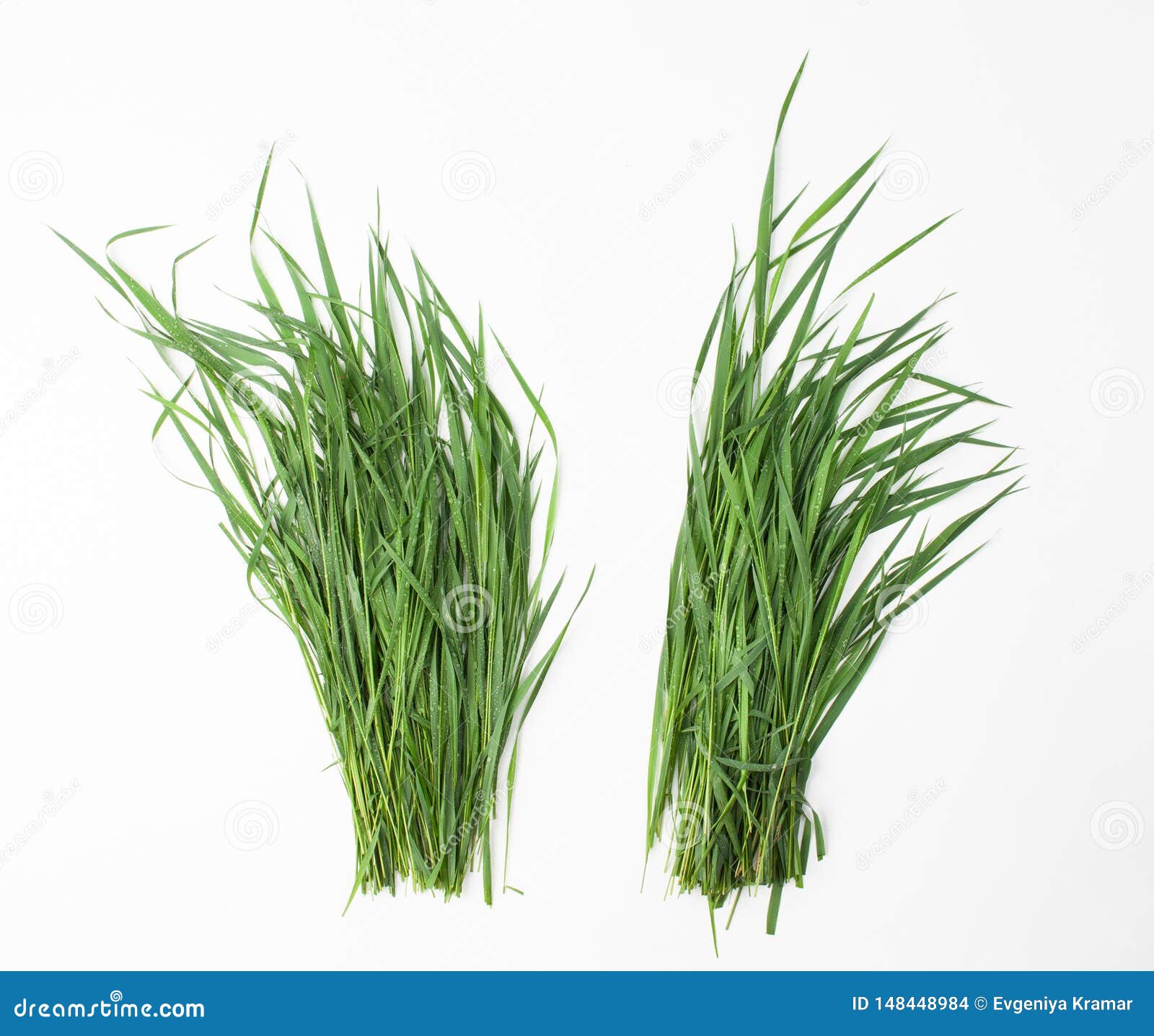 Bunch of Green Grass on White Background Stock Photo - Image of dietary ...