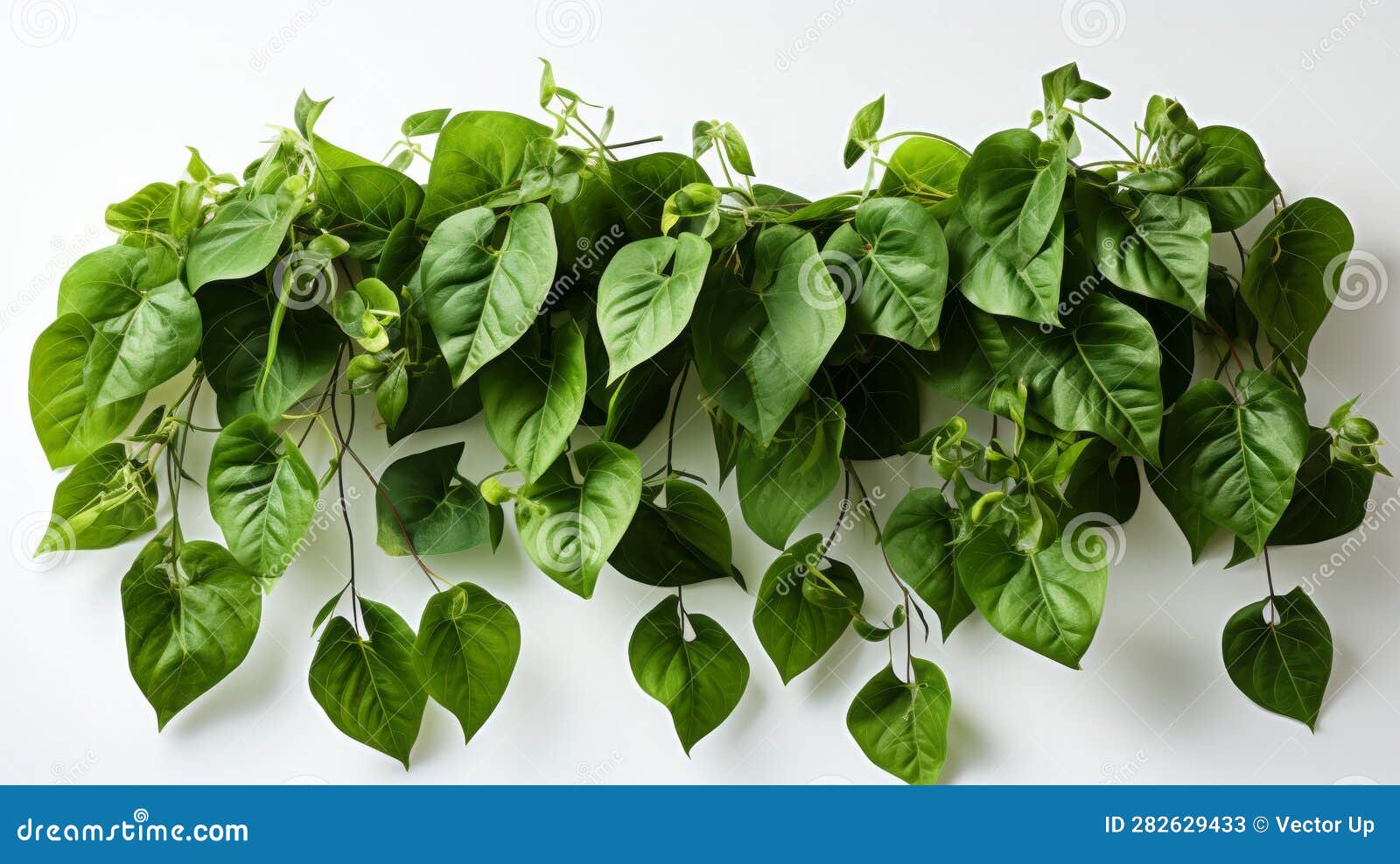 Bunch of Green Leaves Hanging from a Ceiling. Generative AI. Stock ...