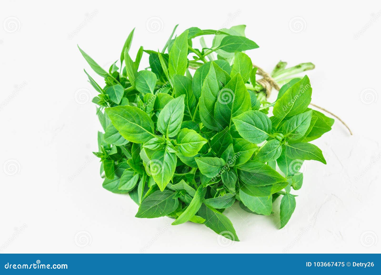 A Bunch of Green Lemon Basil on a White Concrete Table Against a Brick ...
