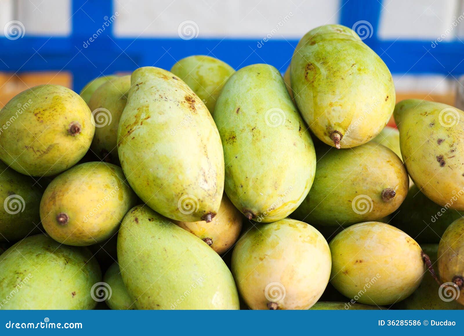 A Bunch of Green Mango in Market Stock Photo - Image of mango, fresh ...