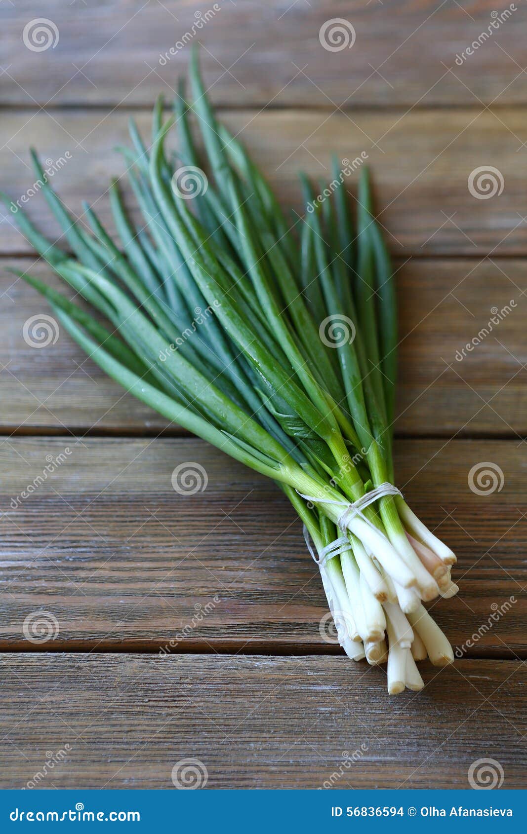 Bunch of green onion stock photo. Image of kitchen, nature - 56836594