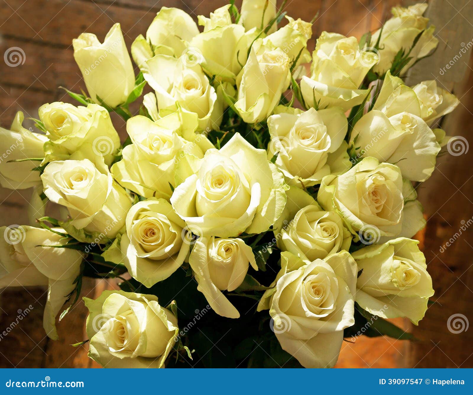 Bunch of Greenish White Roses Stock Image - Image of bright, decoration ...