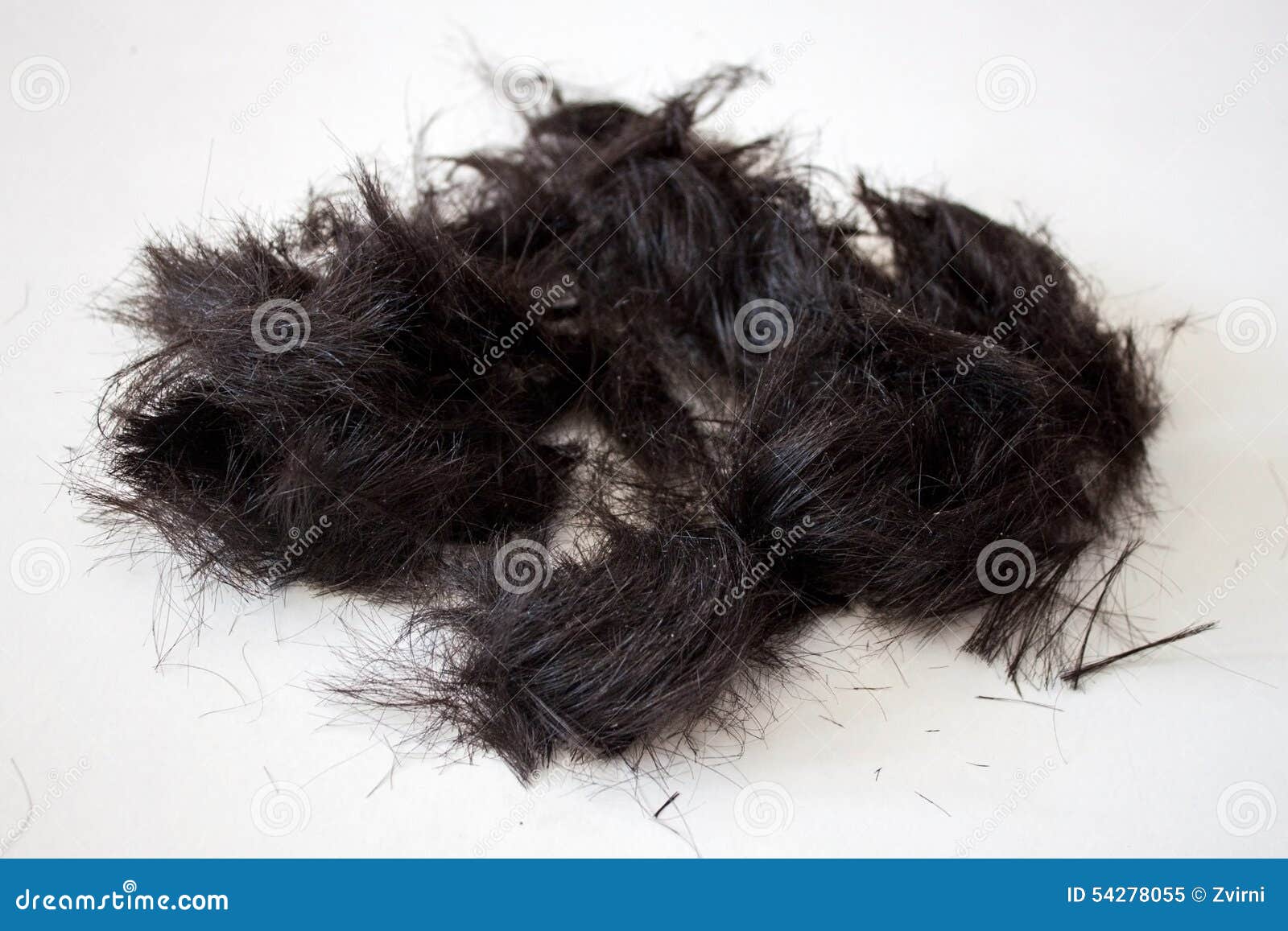 Bunch of hair stock image. Image of white, backgrounds - 54278055