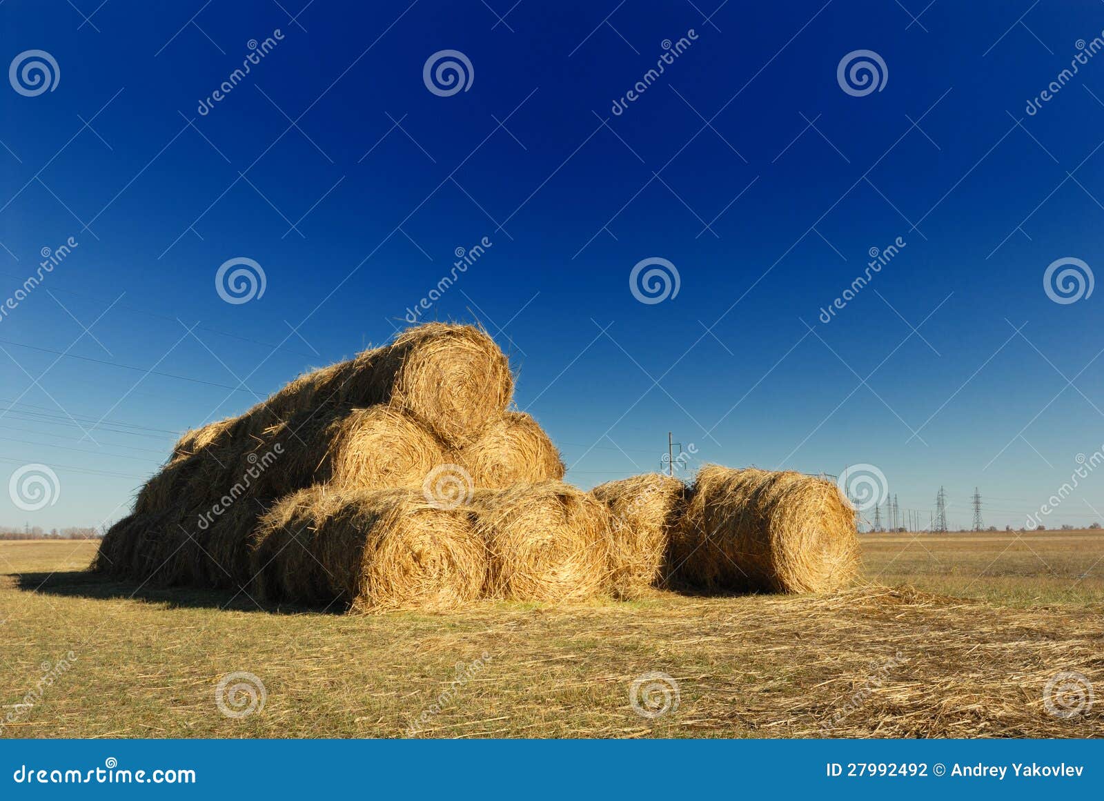 Bunch of hay stock photo. Image of crop, barbed, farm - 27992492