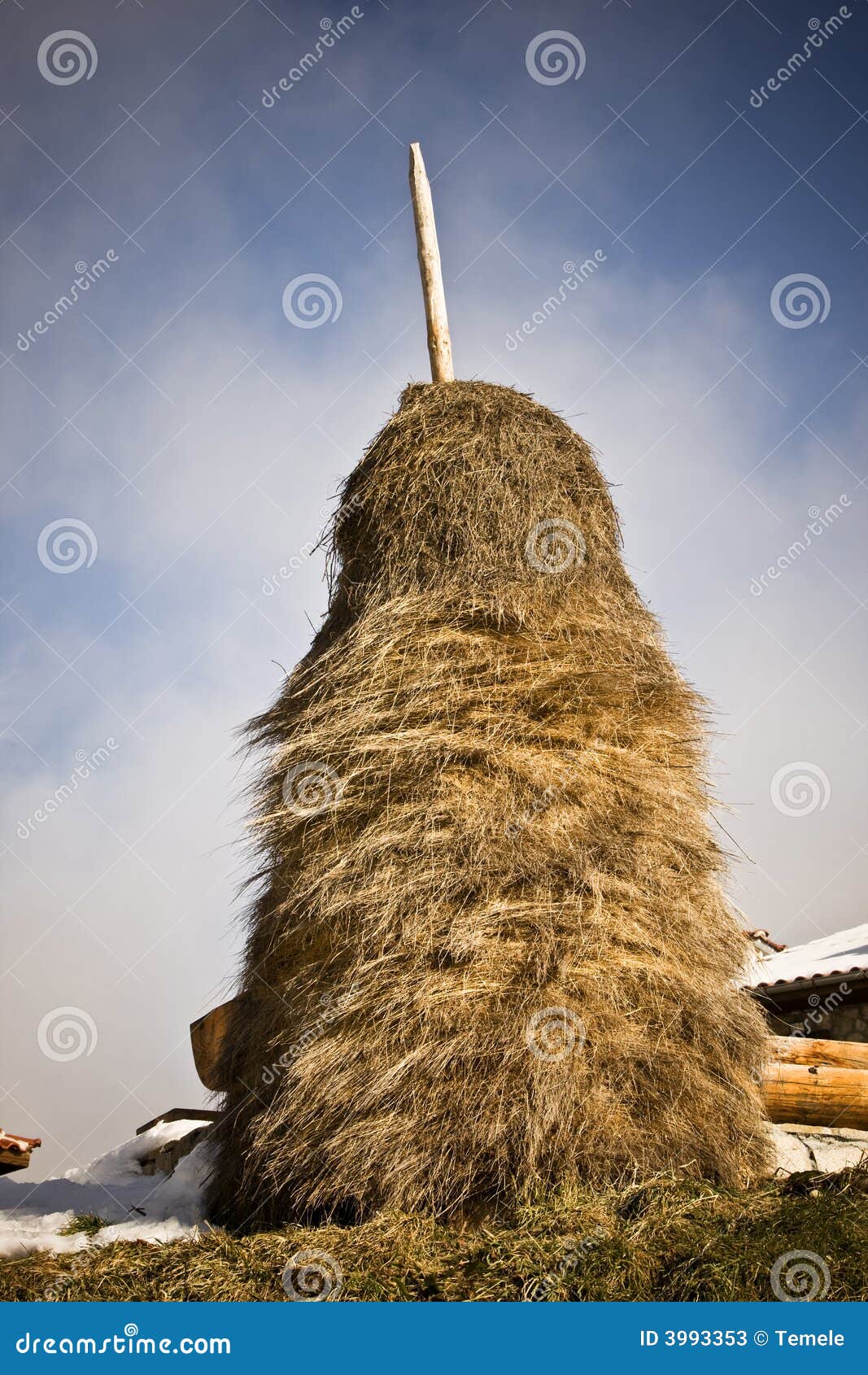 Bunch of hay stock image. Image of agricultural, village - 3993353