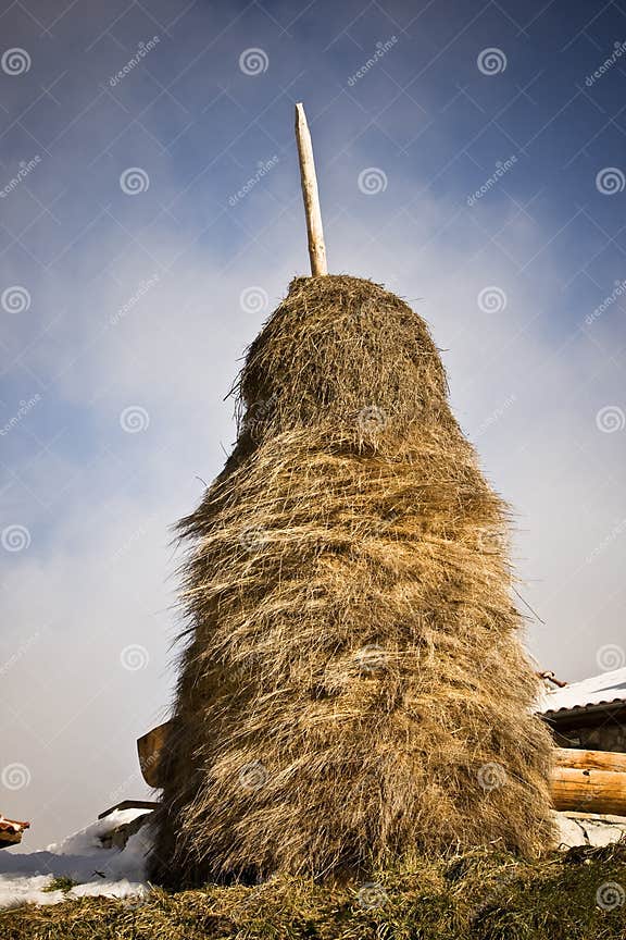Bunch of hay stock image. Image of agricultural, village - 3993353
