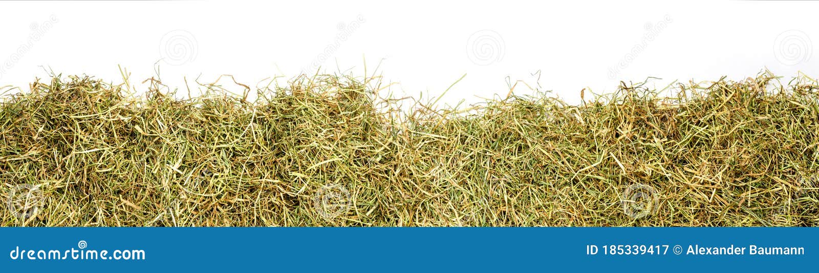 A Bunch of Hay As Banner, Isolated with White Background Stock Image ...
