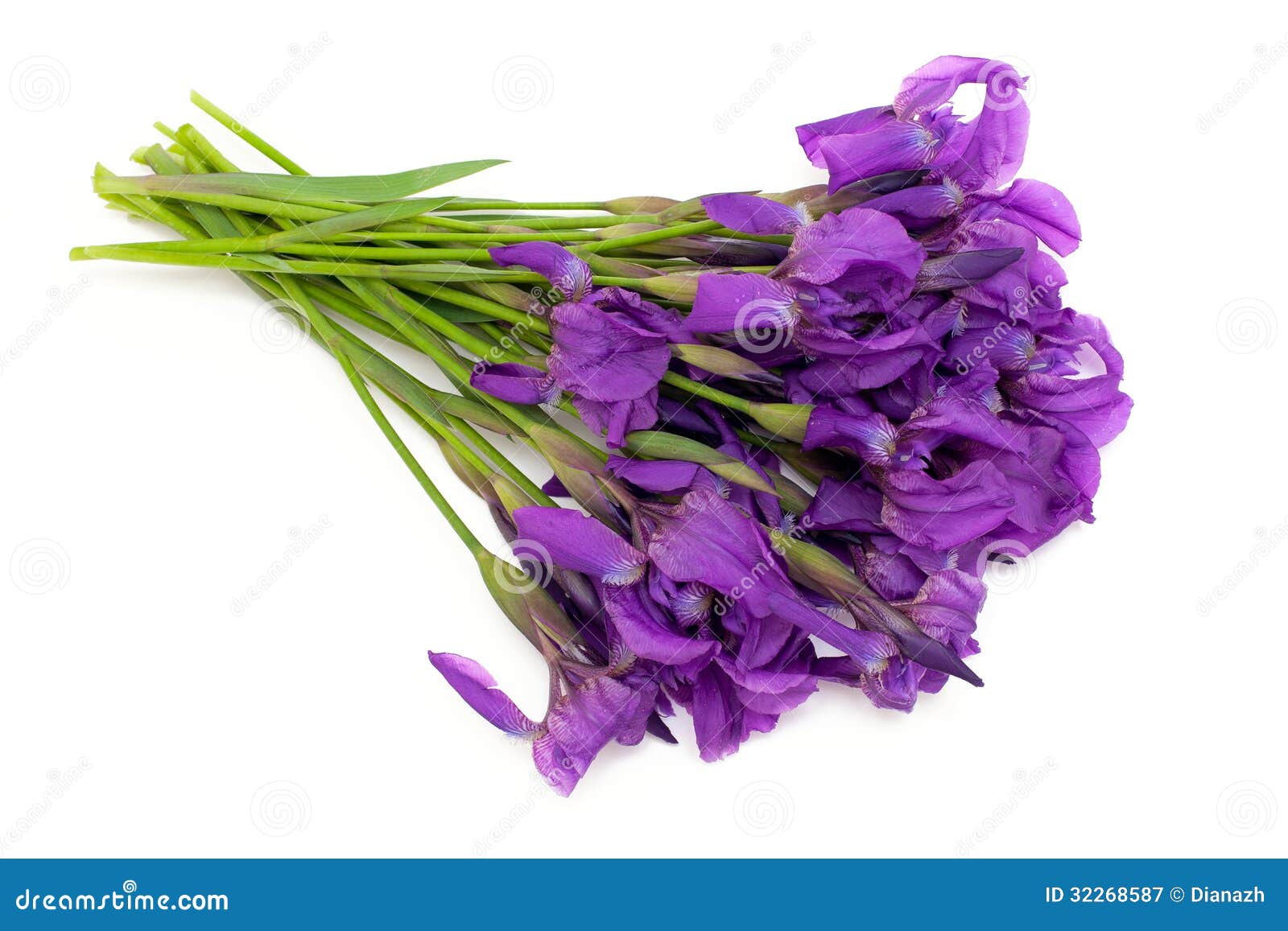 Bunch of iris flowers stock image. Image of bunch, yellow - 32268587