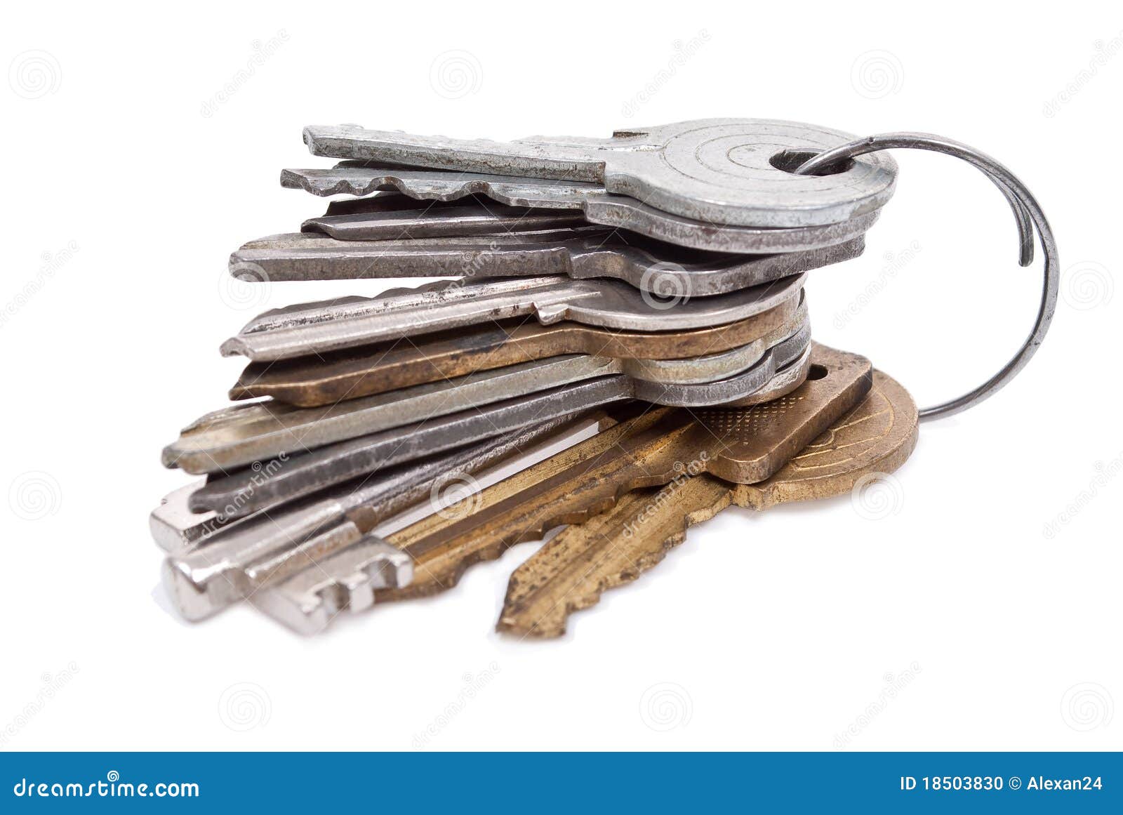 Bunch of keys stock photo. Image of protect, keys, success - 18503830