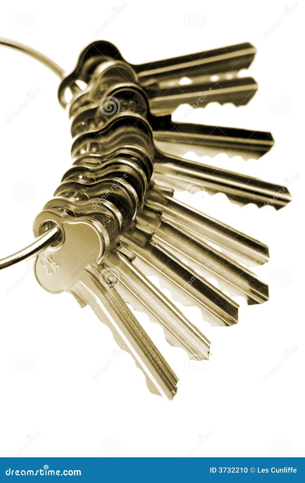 Bunch of keys stock photo. Image of realty, idea, lock - 3732210