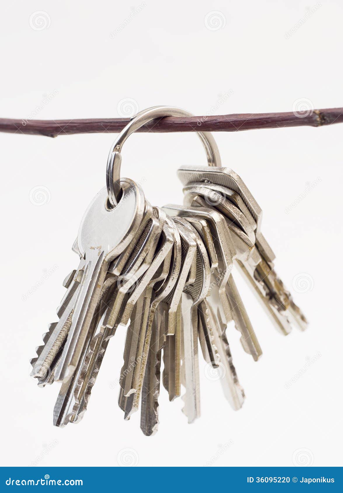 Bunch of keys stock photo. Image of gesture, future, residential - 36095220