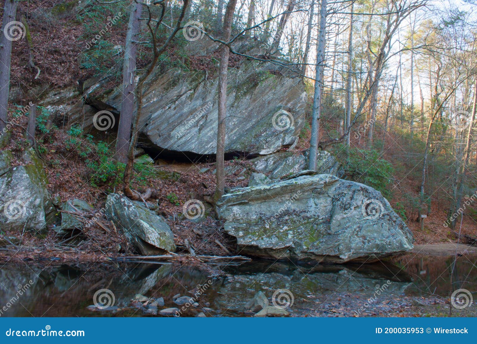 Bunch of Large Stones in a Forest Stock Image - Image of tree, stone ...
