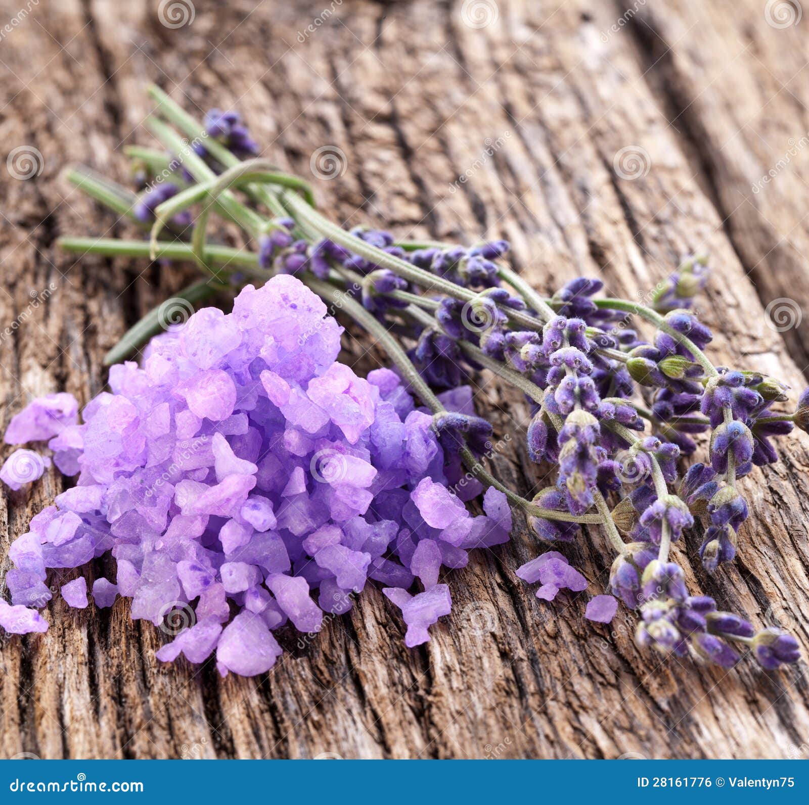 Bunch of Lavender and Sea Salt. Stock Photo - Image of organic, purple ...