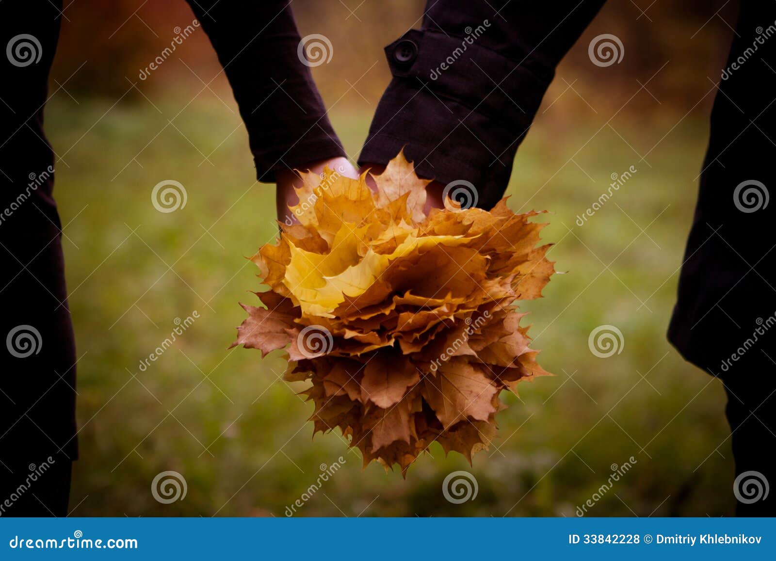 Bunch of leaves stock photo. Image of woman, lovers, pair - 33842228