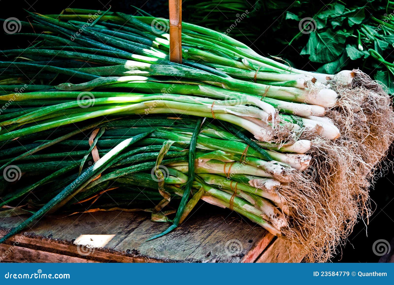 Bunch of leeks stock image. Image of stall, allium, cepa - 23584779
