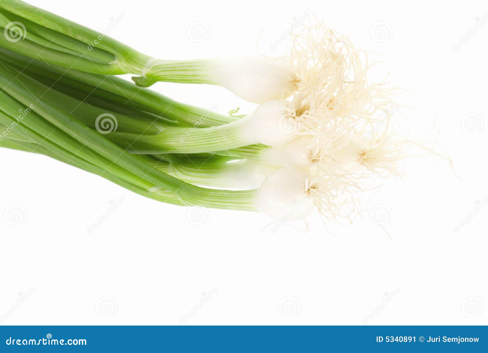 Bunch of leeks. stock image. Image of green, bundle, healthy - 5340891