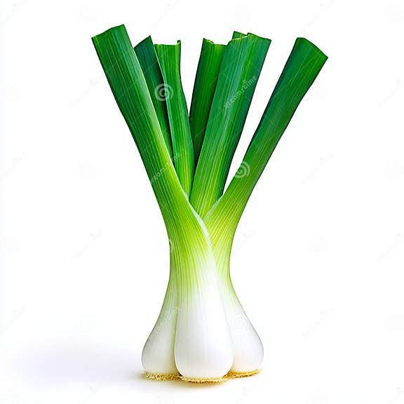 A Bunch of Leeks on a White Background Stock Photo - Image of generated ...