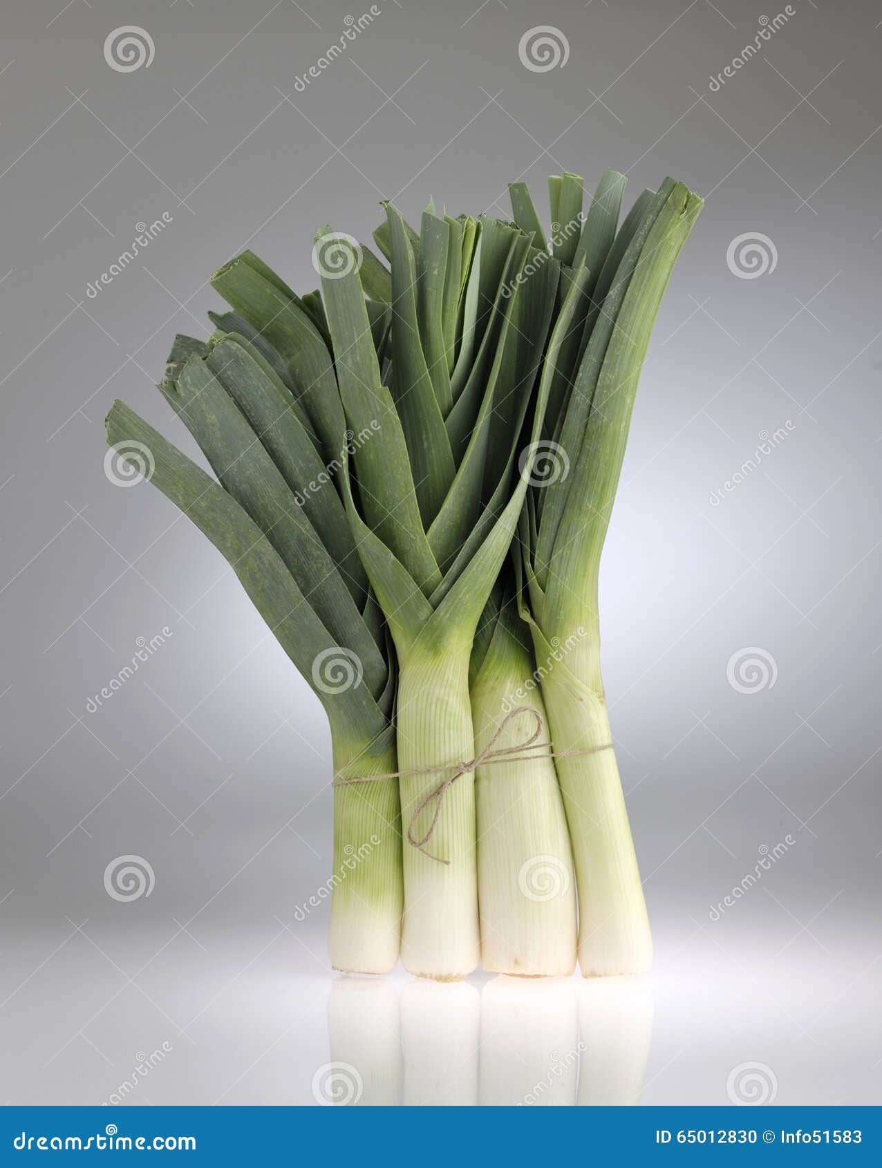 Bunch of Leeks on a White Background Stock Photo - Image of healthy ...