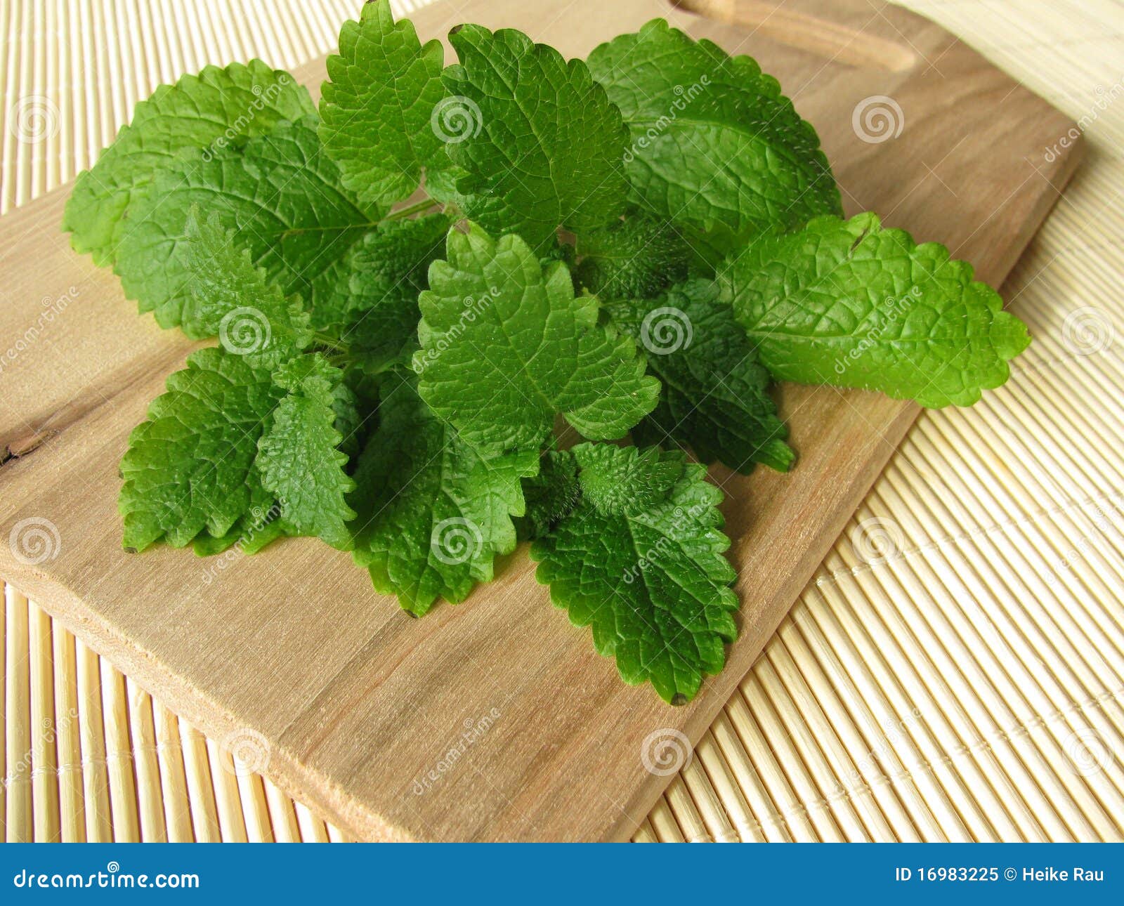 Bunch of lemon balm stock image. Image of fresh, balm - 16983225