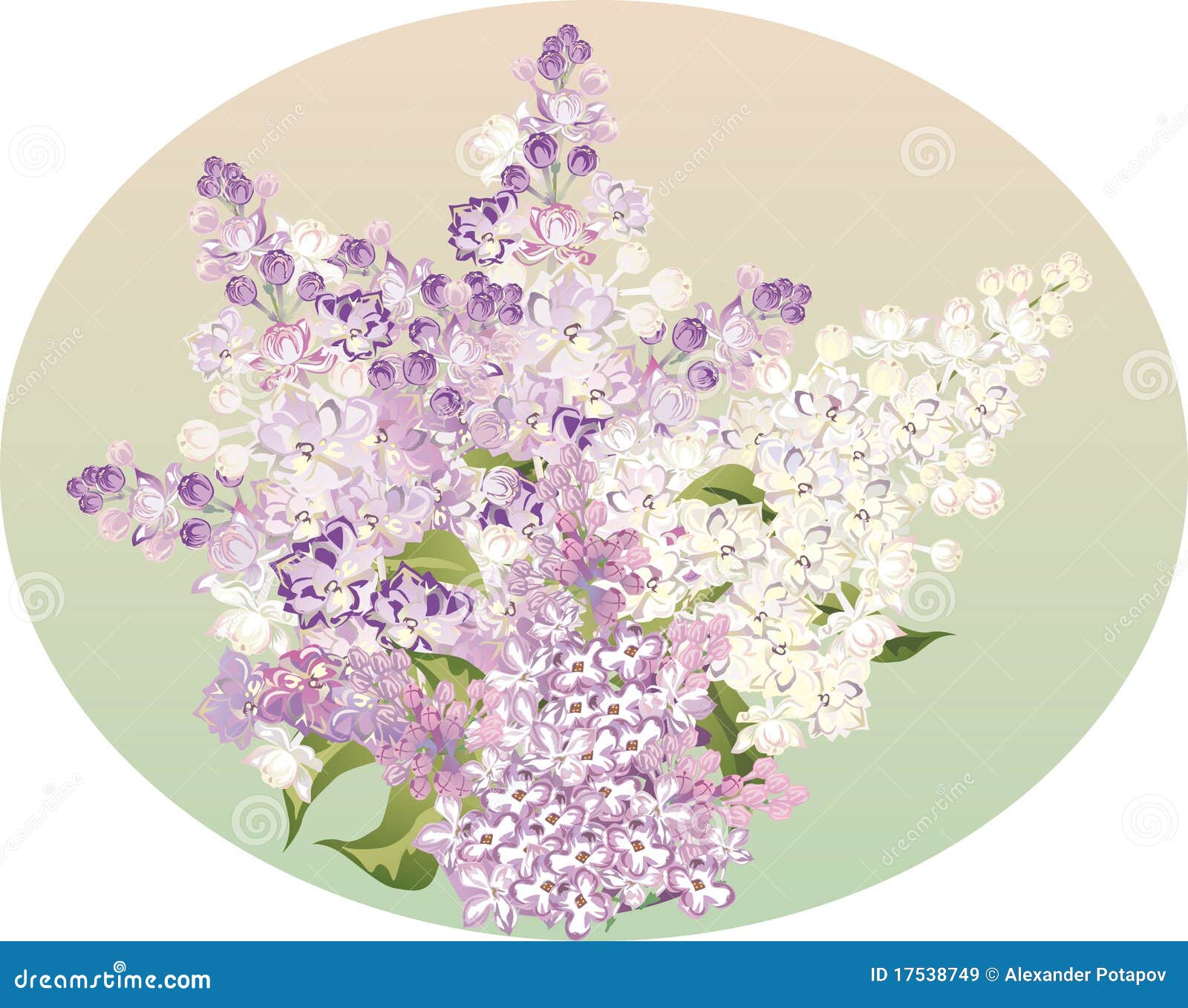 Bunch of Light Lilac Flowers Stock Vector - Illustration of design ...