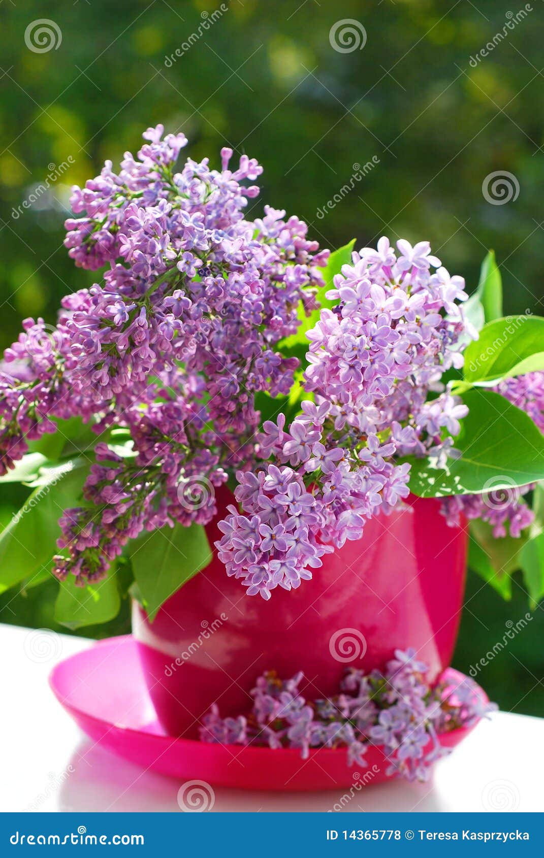 Bunch of lilac in the vase stock photo. Image of balcony - 14365778