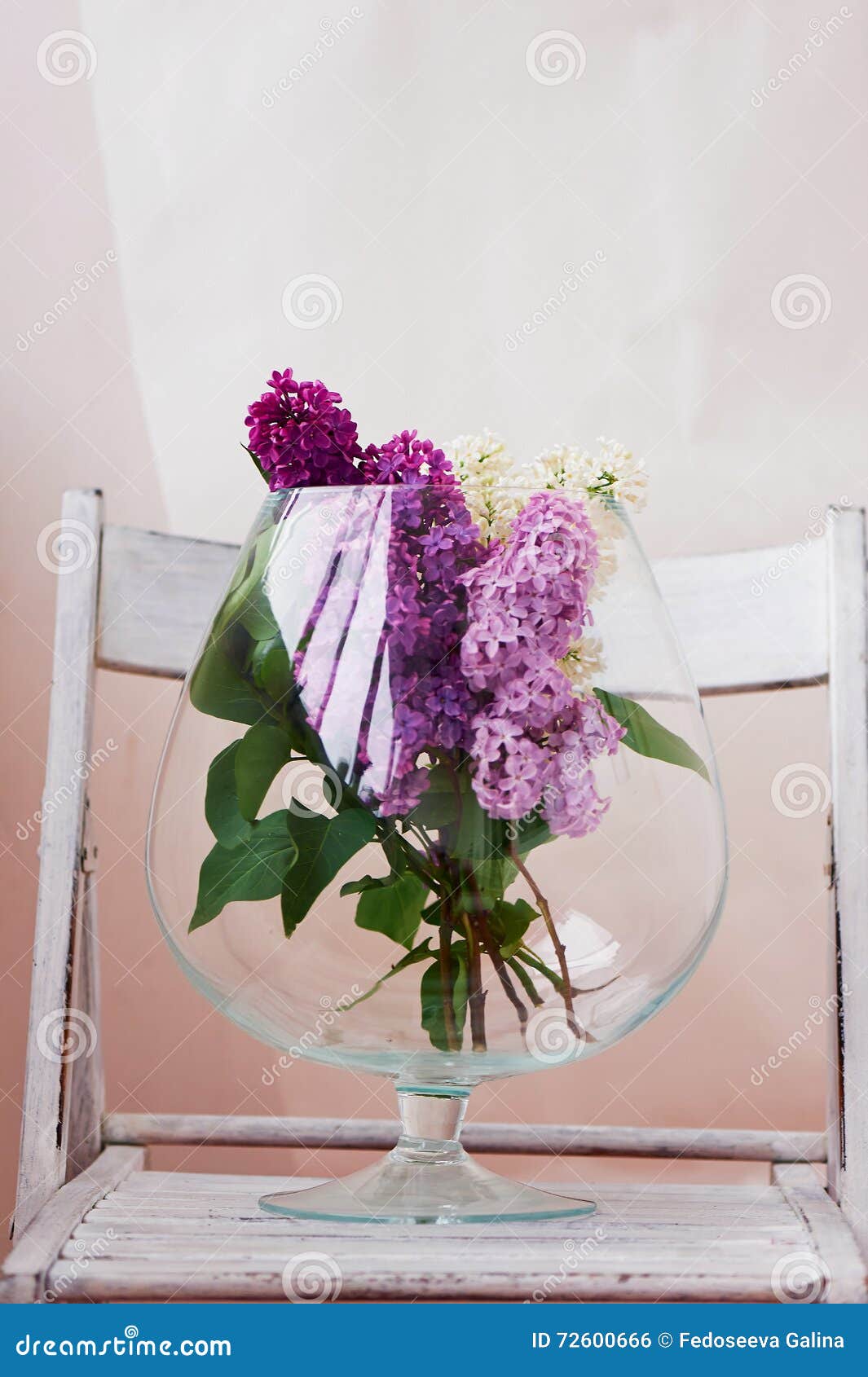Bunch of Lilac in the Vase stock photo. Image of element - 72600666