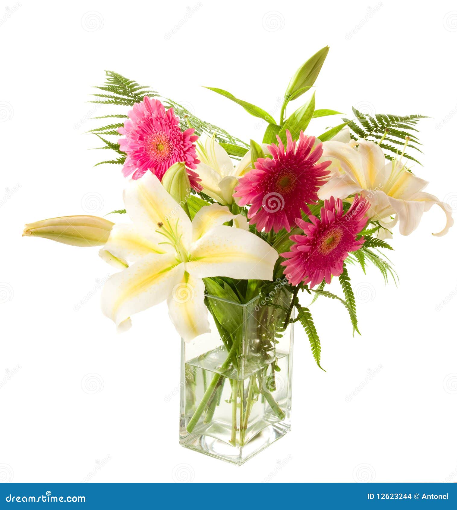 6,468 Flower Bunch Transparent Photos - Free & Royalty-Free Stock ...